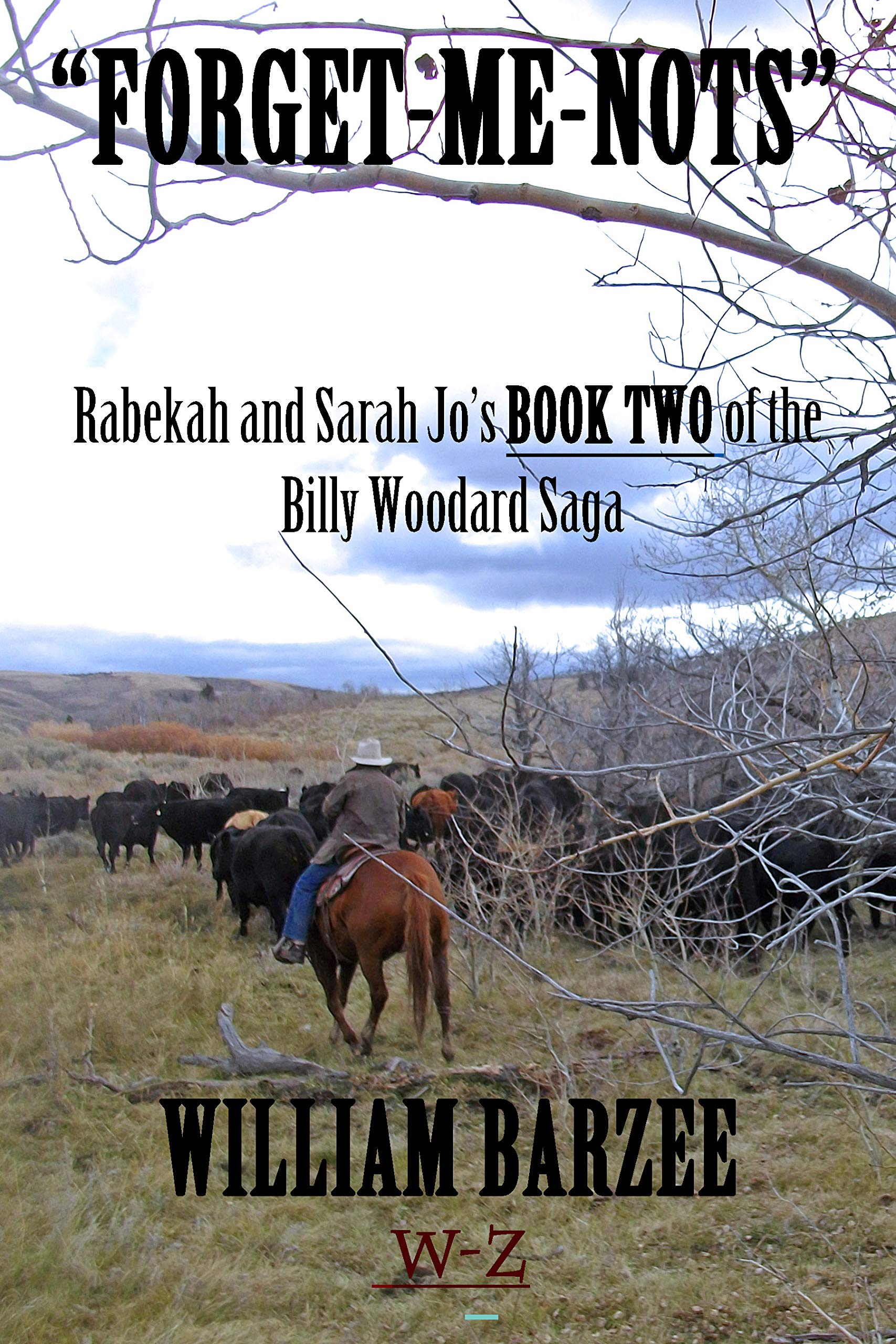 "FORGET-ME-NOTS": Rebekah and Sarah Jo's Book Two of the Billy Woodard ...