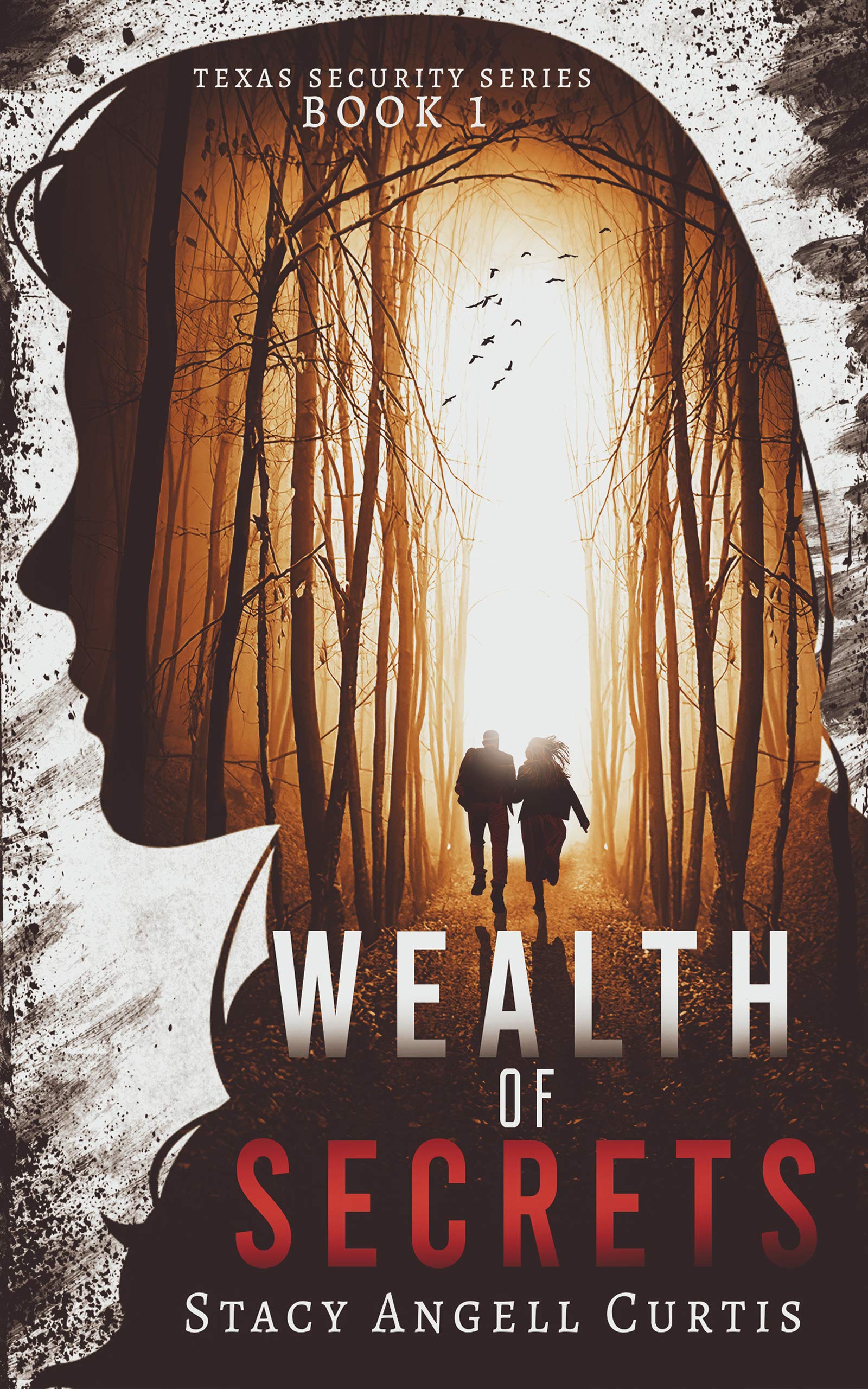 Wealth of Secrets by Stacy Angell Curtis | Goodreads