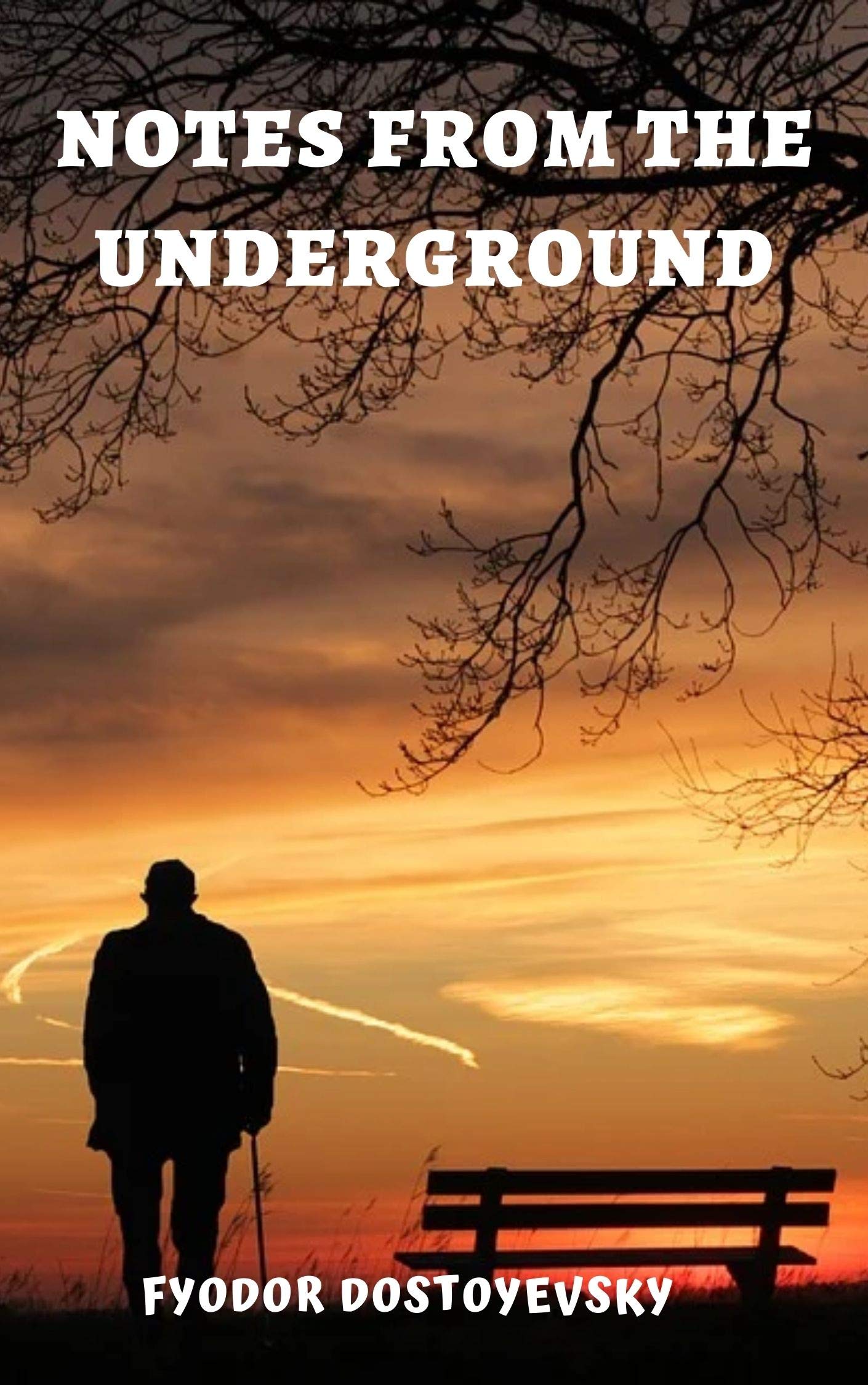 Notes from the Underground by Fyodor Dostoyevsky | Goodreads