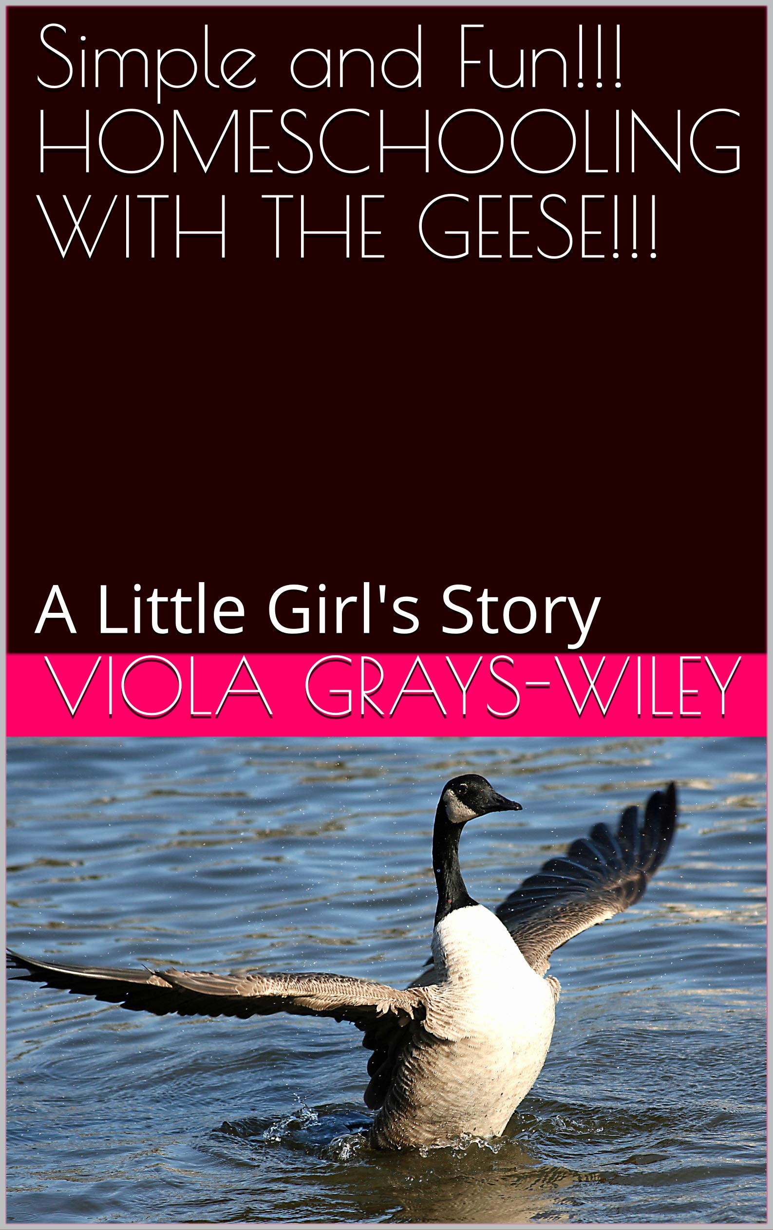 Simple and Fun!!! HOMESCHOOLING WITH THE GEESE!!!: A Little Girl's ...