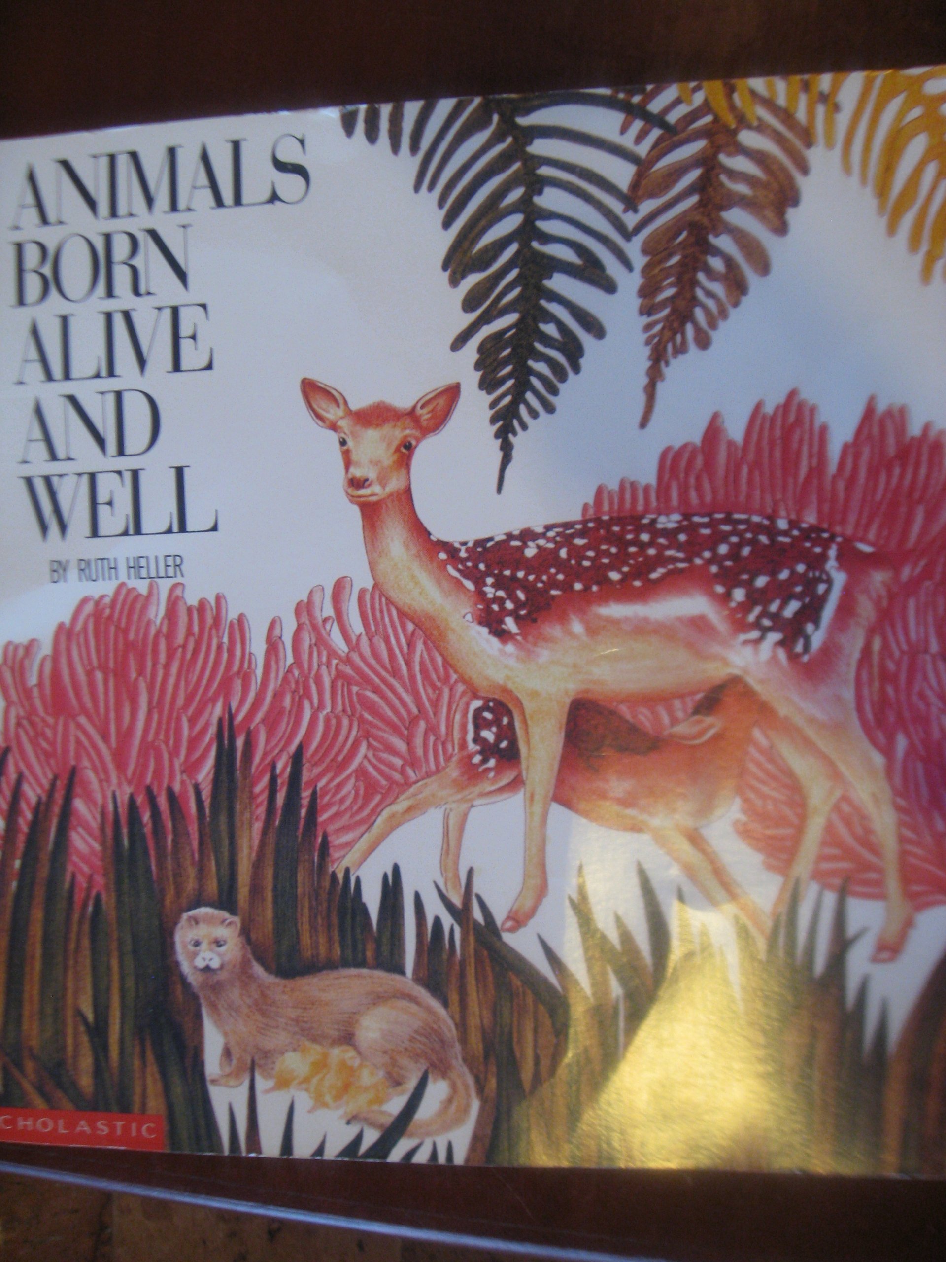 Animals Born Alive and Well (Big book) by Ruth Heller | Goodreads
