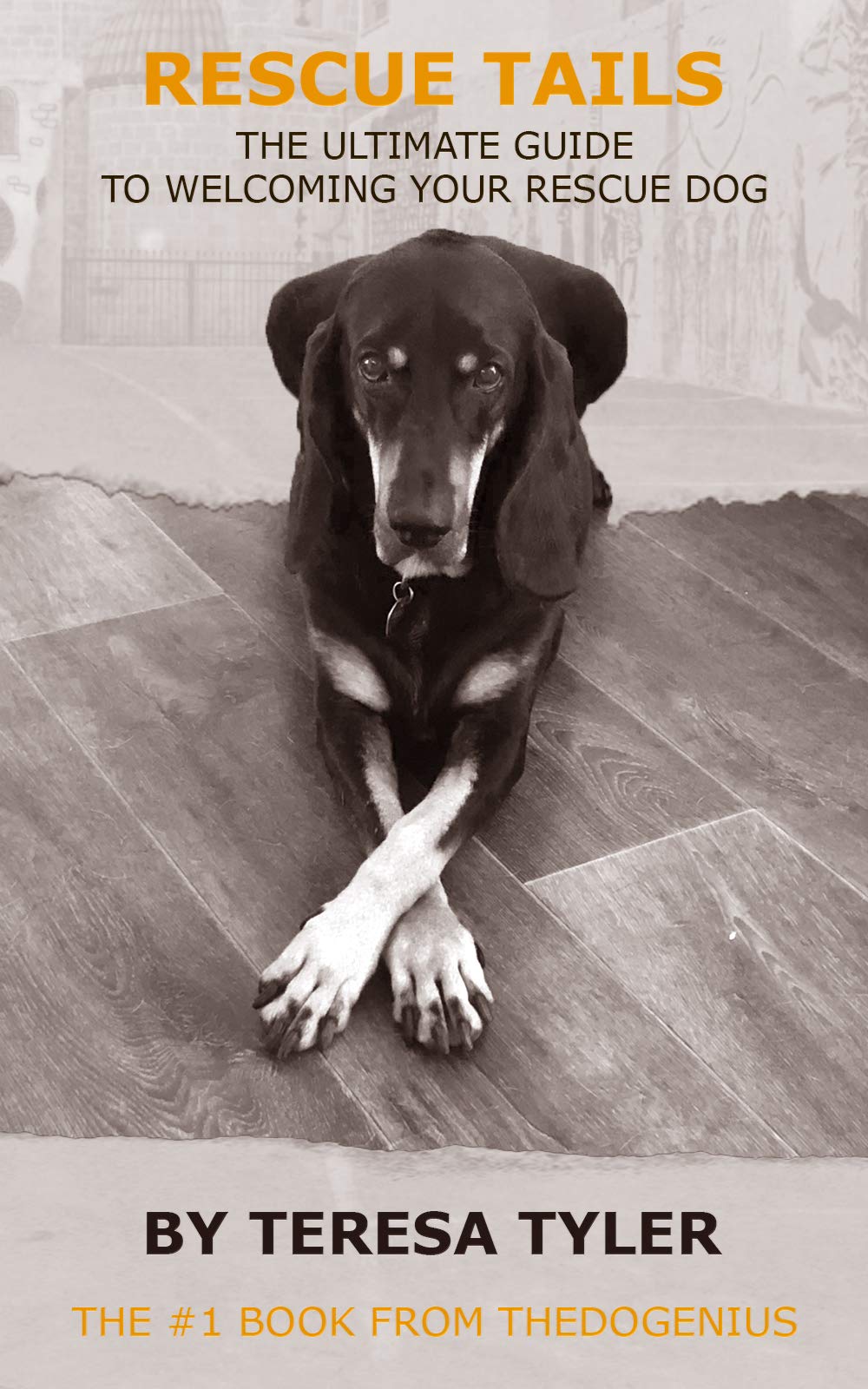 Rescue Tails: The Ultimate Guide to Welcoming Your Rescue Dog by Teresa ...