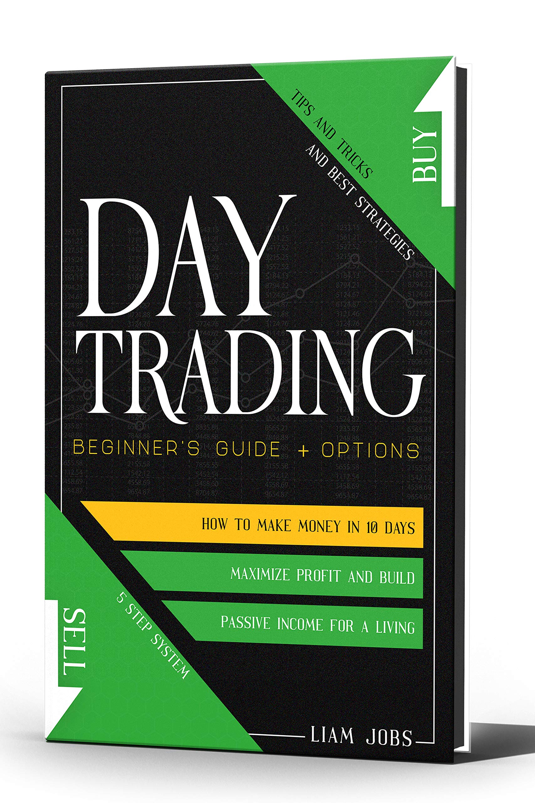 DAY TRADING (2021 Edition): Guide for Beginners + Options: How To Make ...