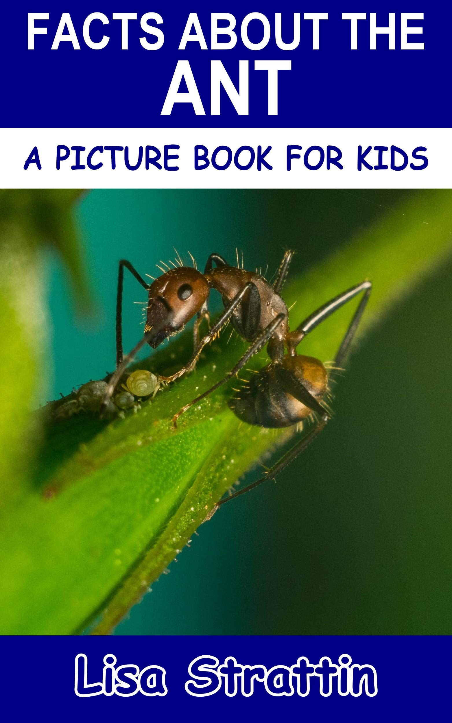 Facts About the Ant (A Picture Book For Kids 237) by Lisa Strattin ...