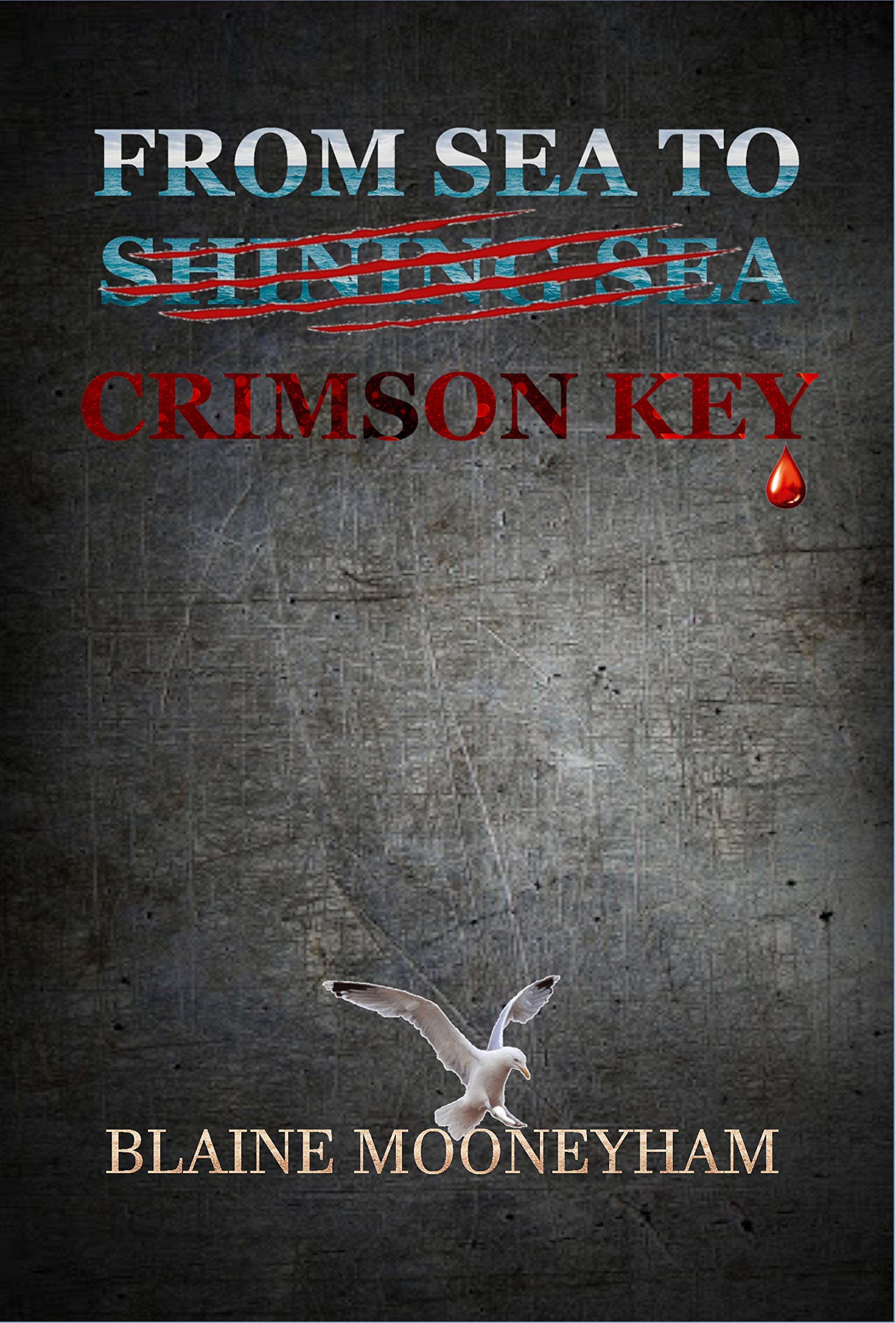 From Sea to Crimson Key by Blaine Mooneyham | Goodreads