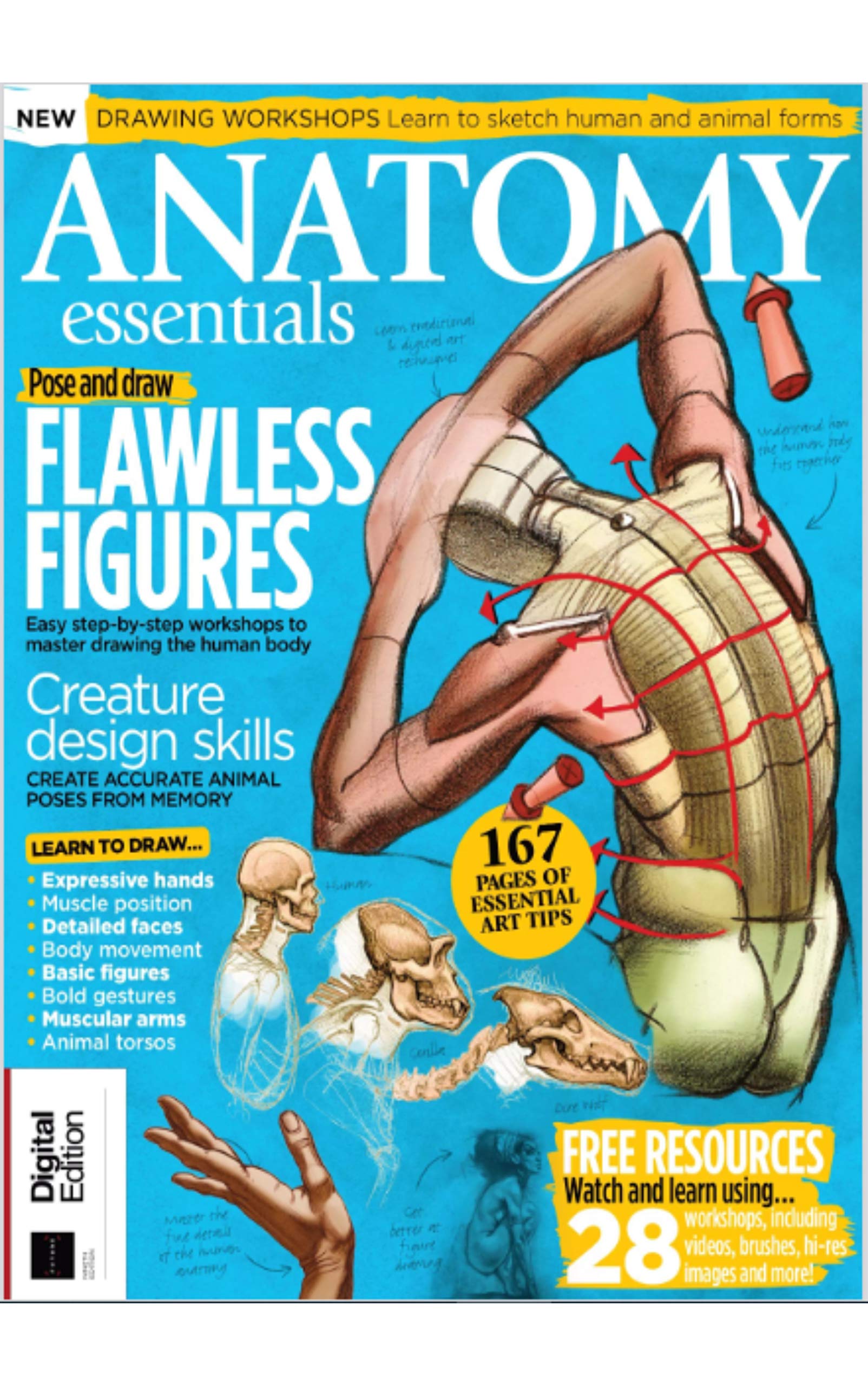 Magazine Anatomy Essentials Pose And Draw Flawless Figures Easy Step