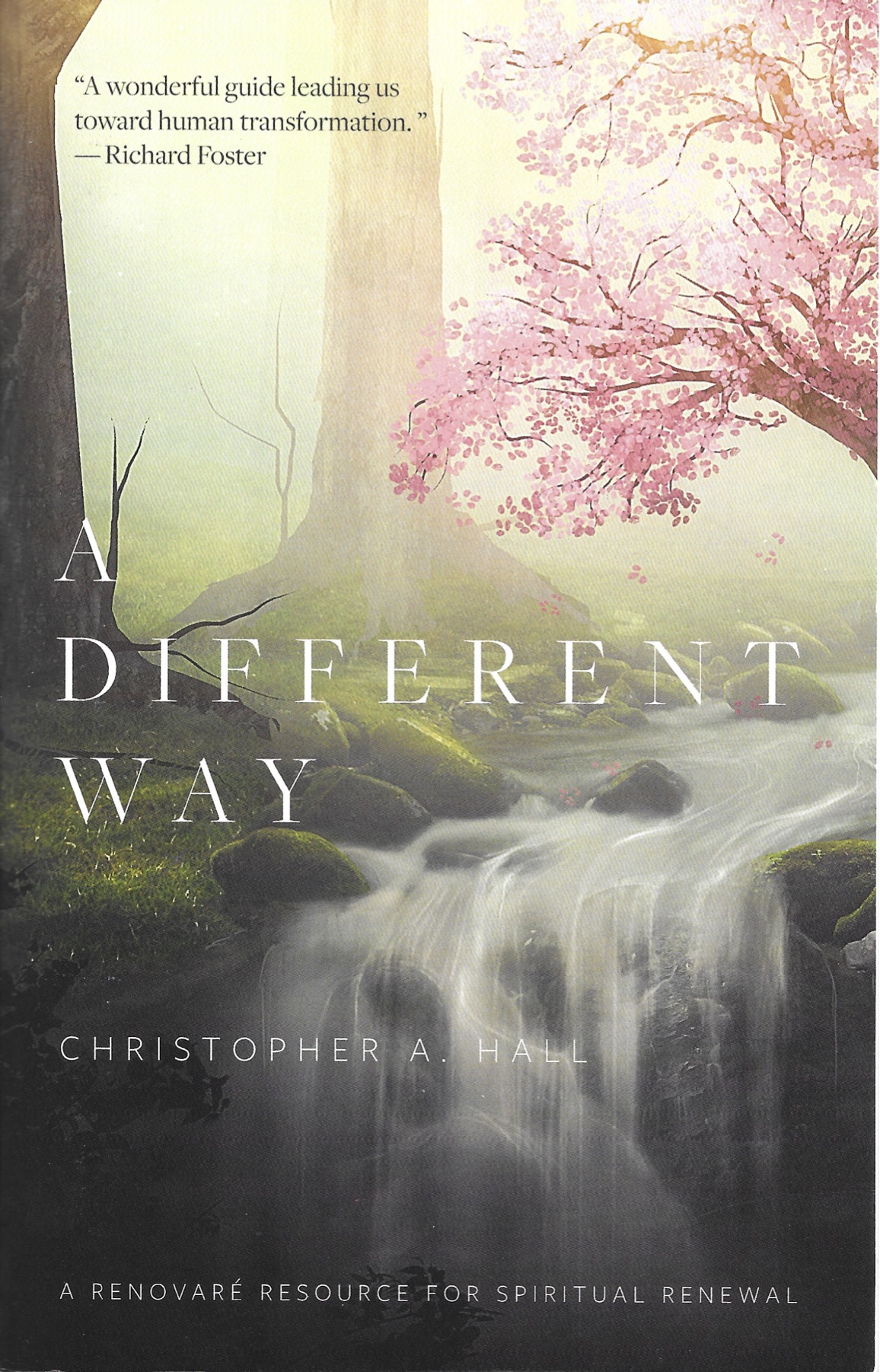 A Different Way by Christopher A. Hall | Goodreads