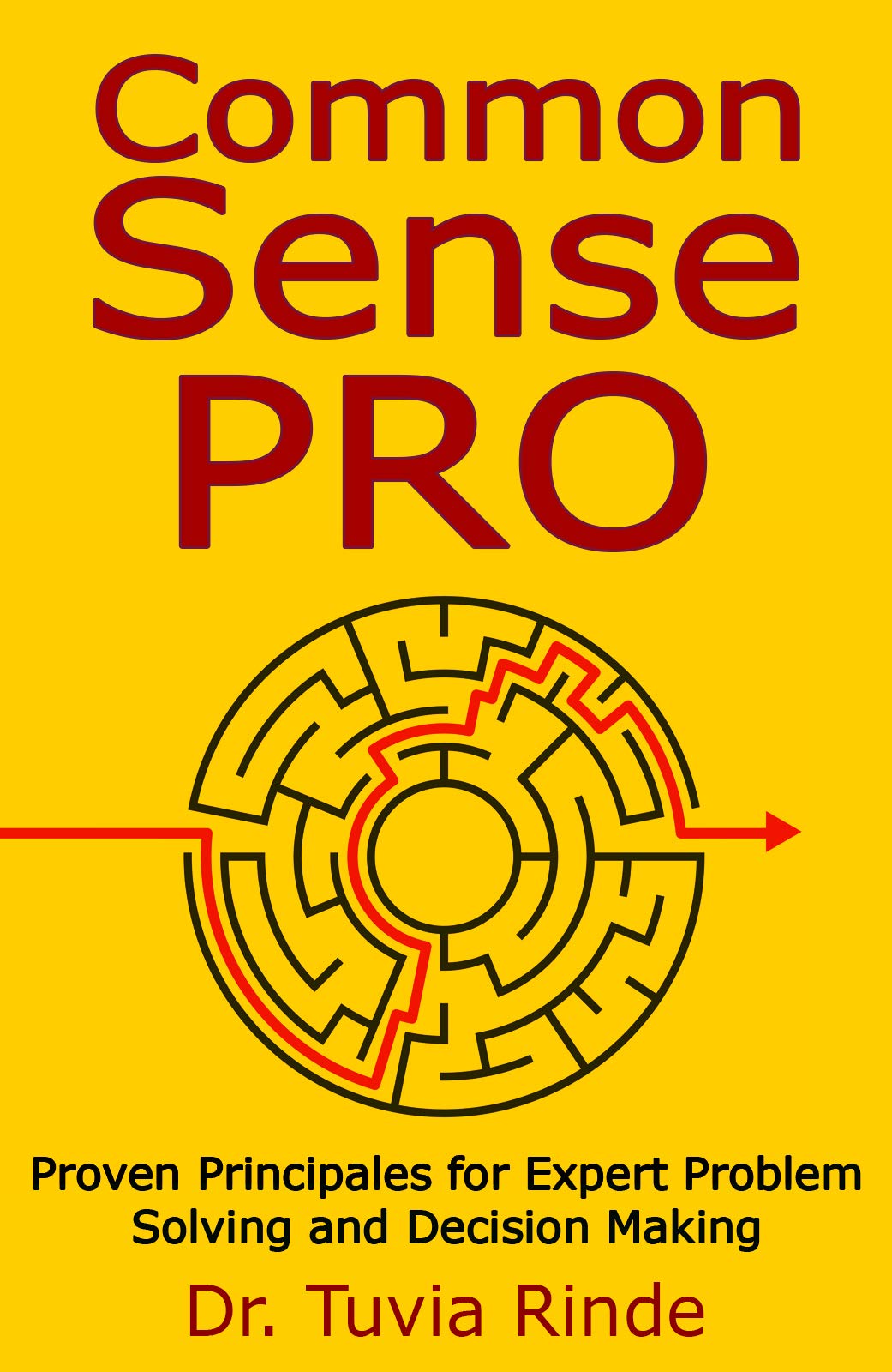 Common Sense Pro: Proven Principles for Expert Problem Solving and ...