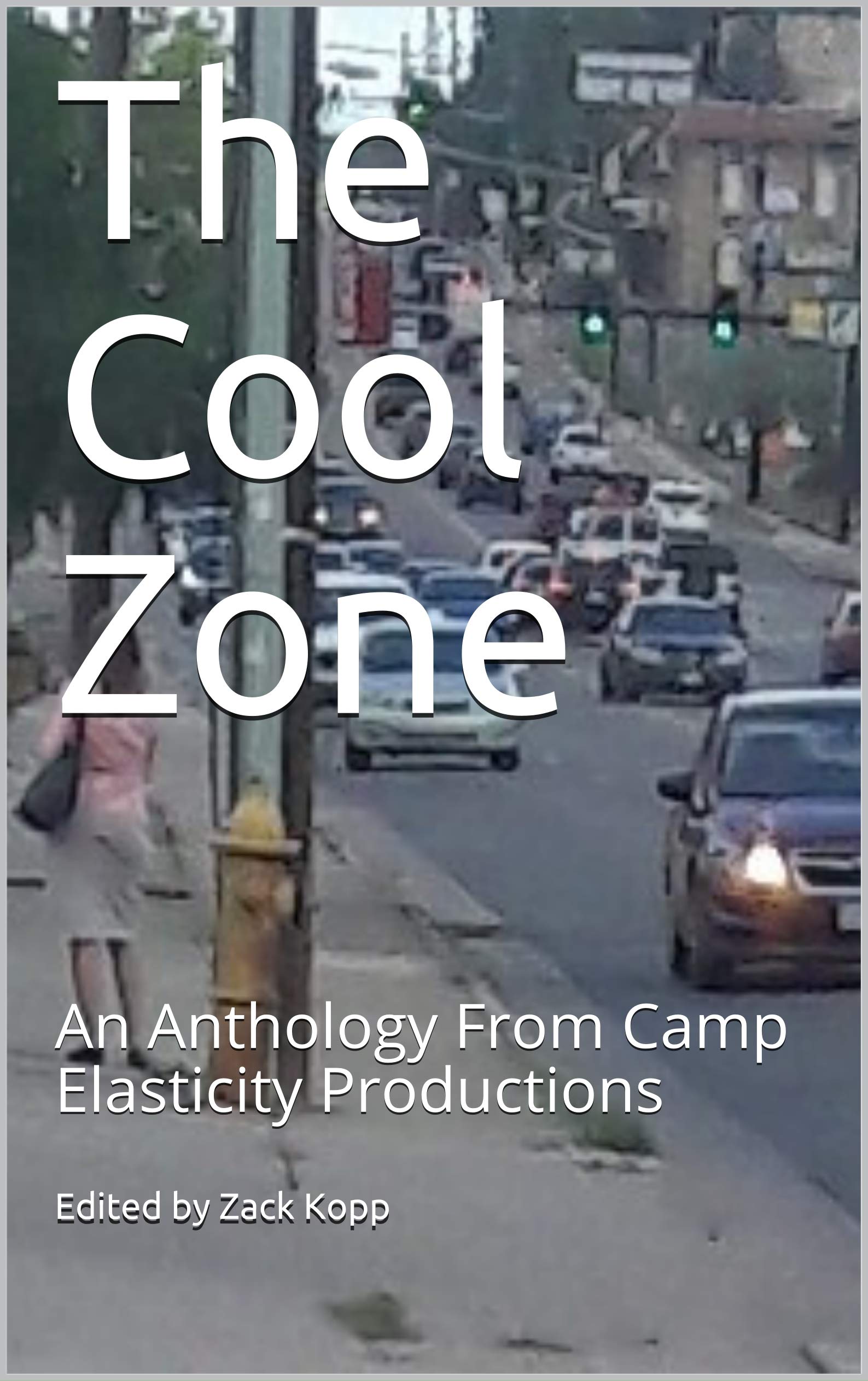 The Cool Zone: An Anthology From Camp Elasticity Productions by Zack ...