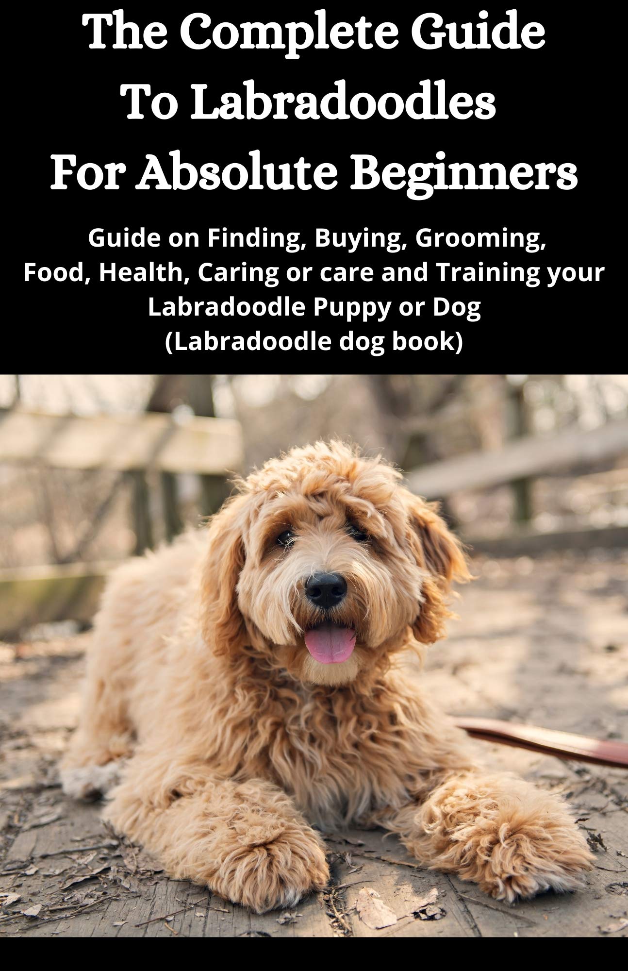 The Complete Guide To Labradoodles for Absolute Beginners: Guide on ...