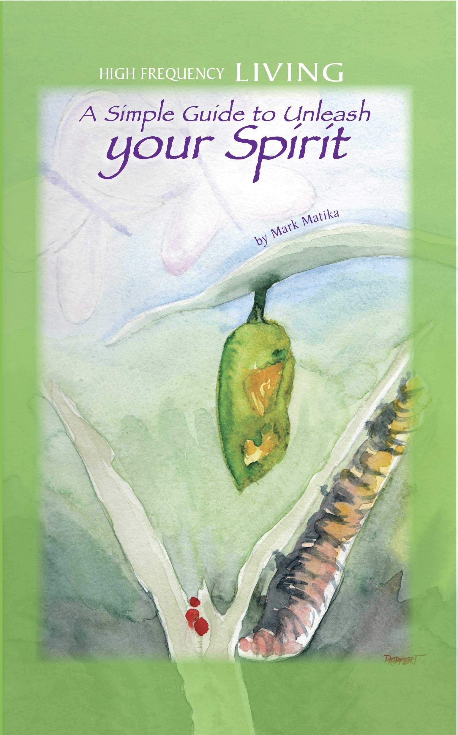 High Frequency Living: A Simple Guide to Unleash Your Spirit by Mark Matika | Goodreads