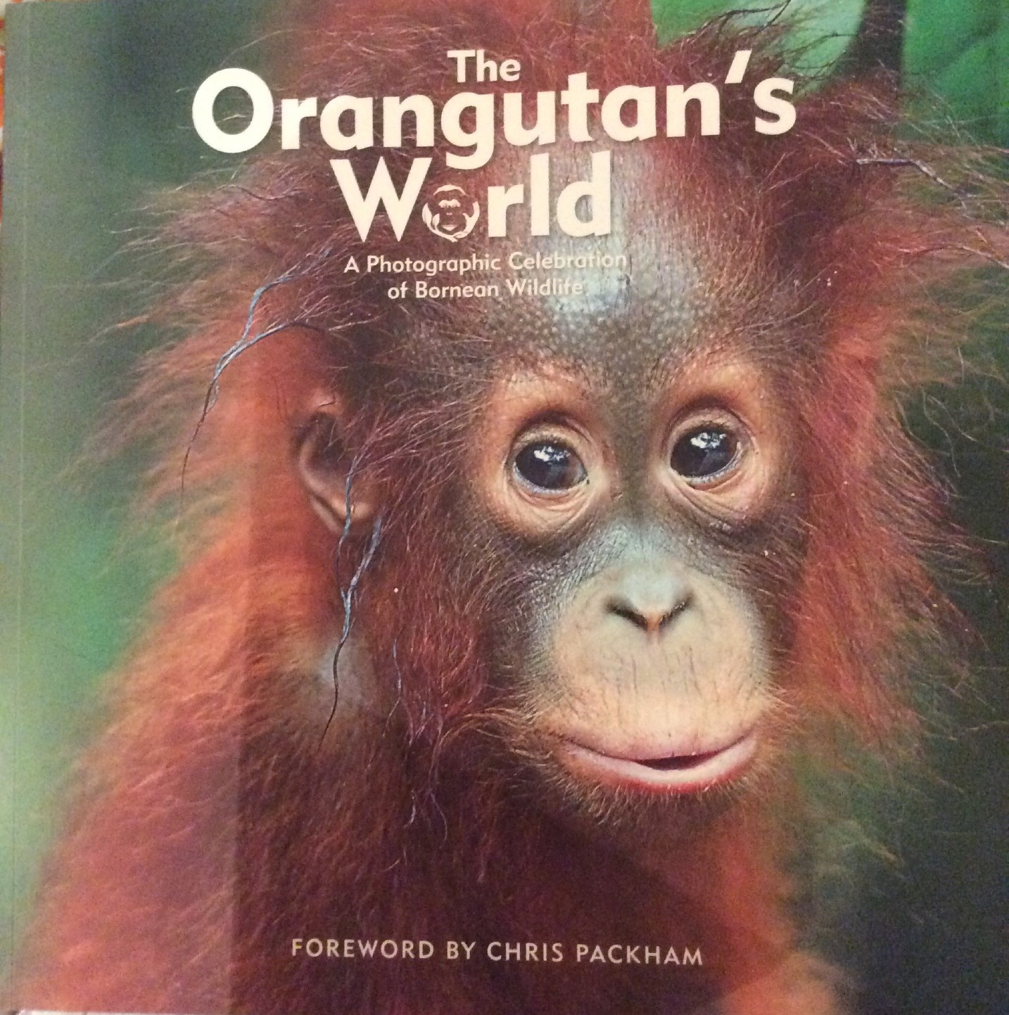 The Orangutan's World: A Photographic Cenebration of Bornean Wildlife ...