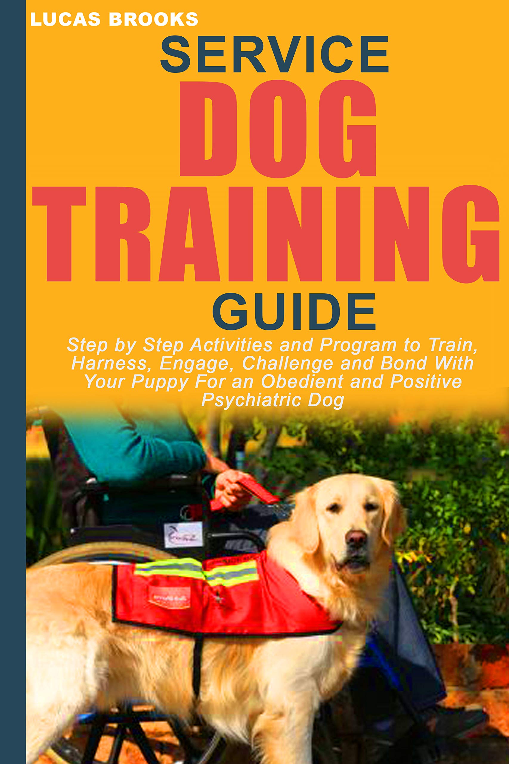 SERVICE DOG TRAINING GUIDE: Step by Step Activities and Program to ...