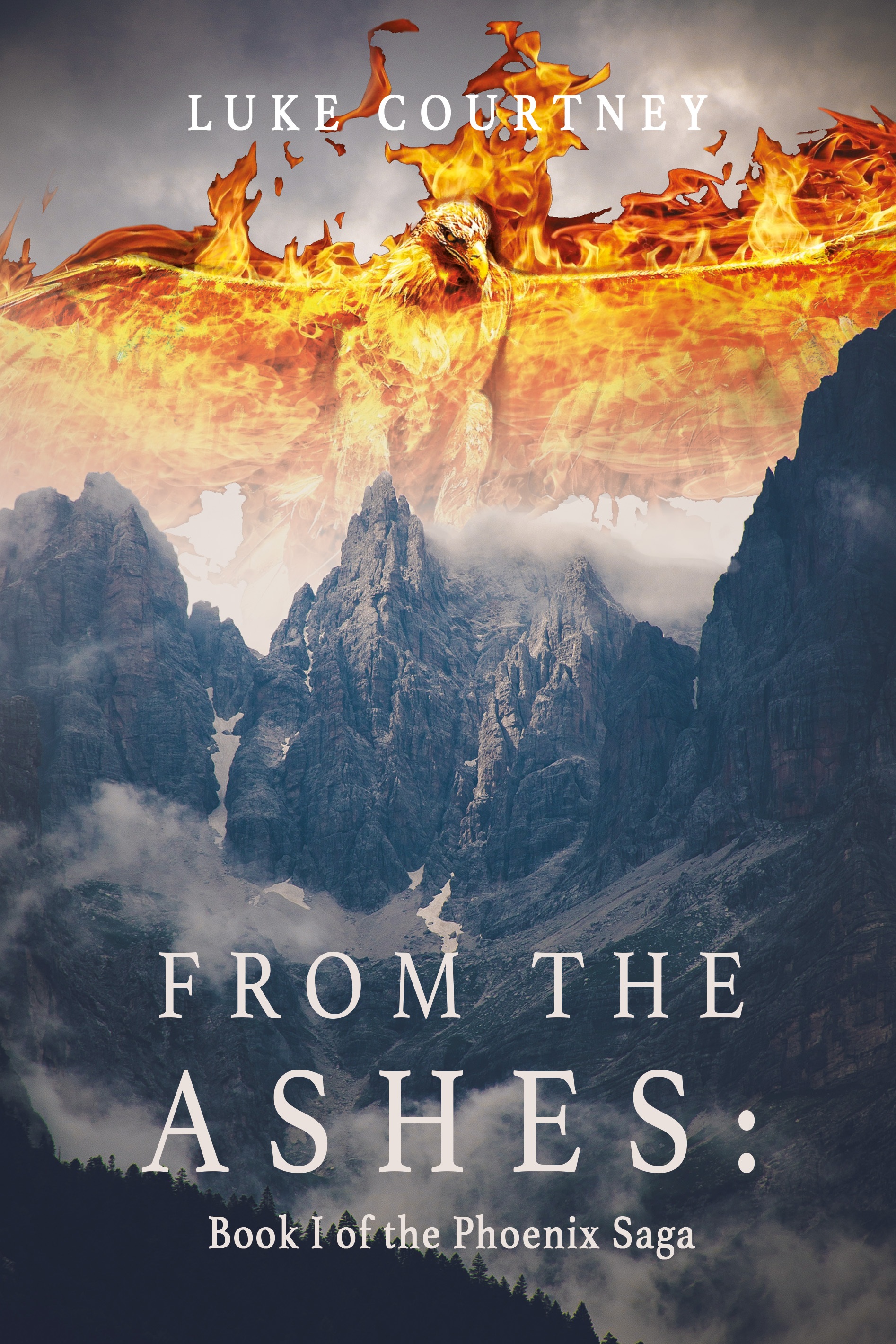 From The Ashes: Book 1 of the Phoenix Saga by Luke Courtney | Goodreads