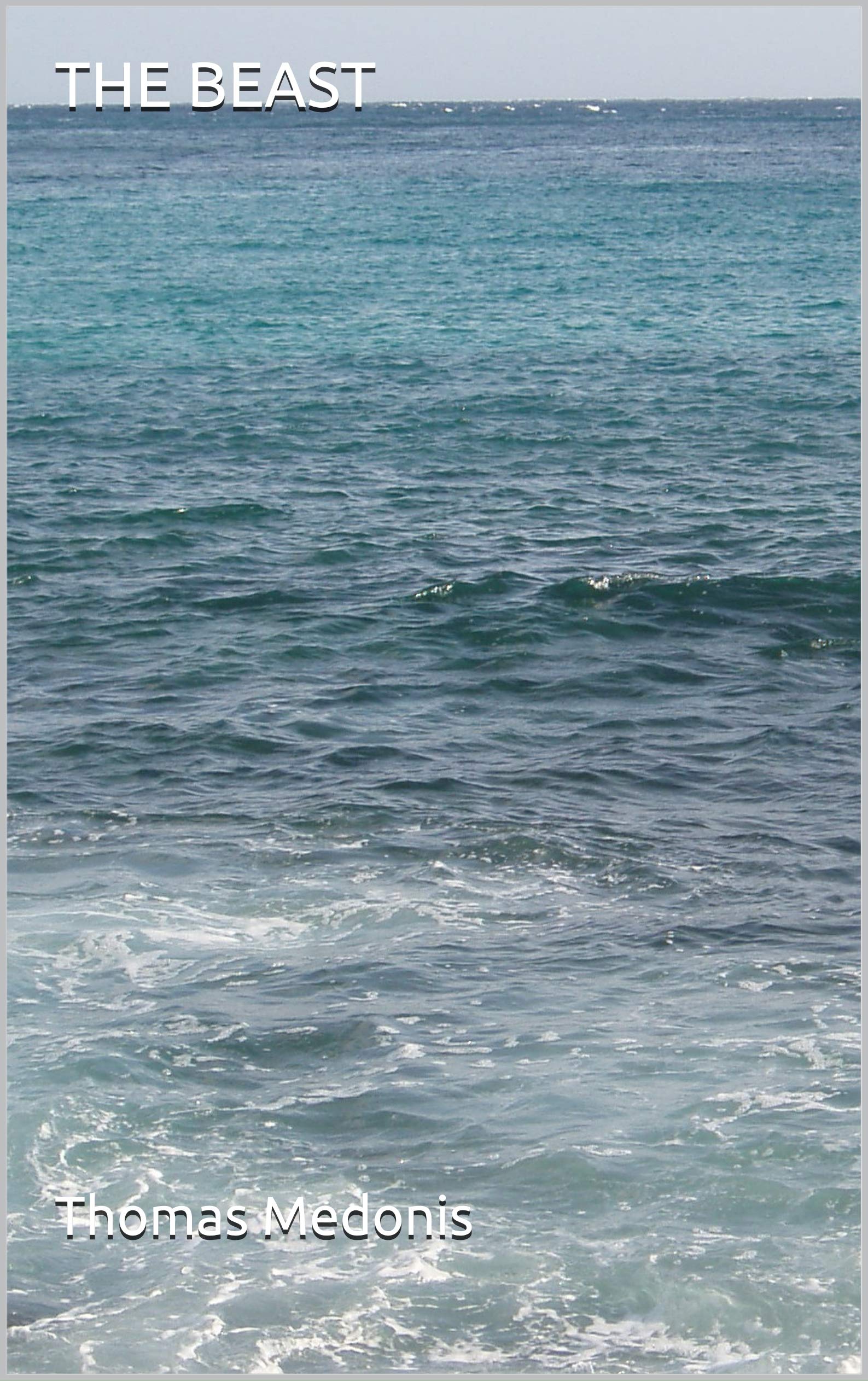 THE BEAST by Thomas Medonis | Goodreads