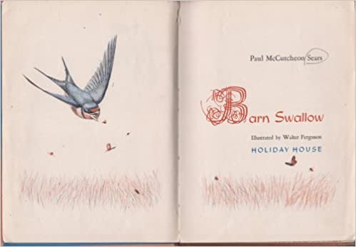 Barn Swallow by Paul McCutcheon Sears | Goodreads