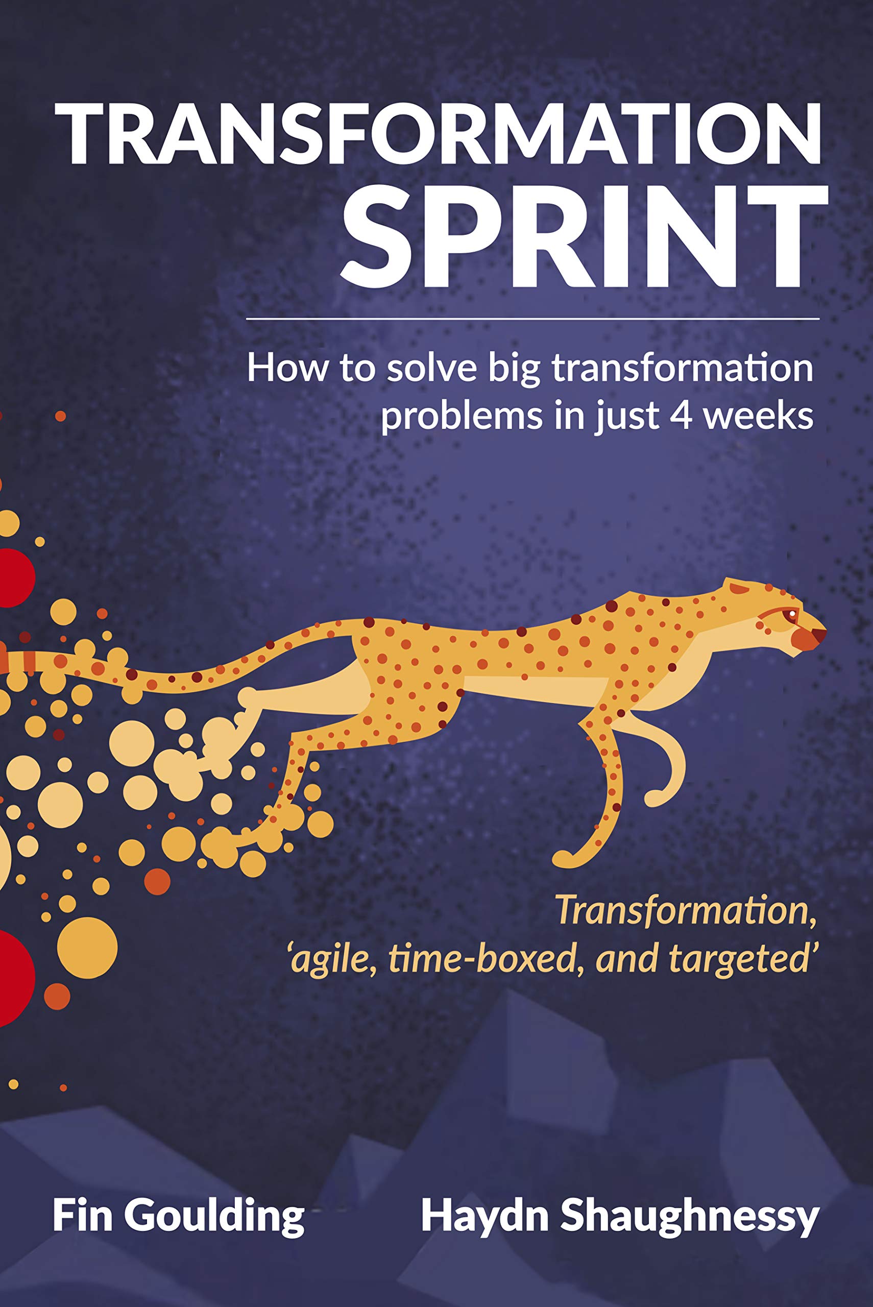 Transformation Sprint: How to fix big transformation problems in just 4 ...