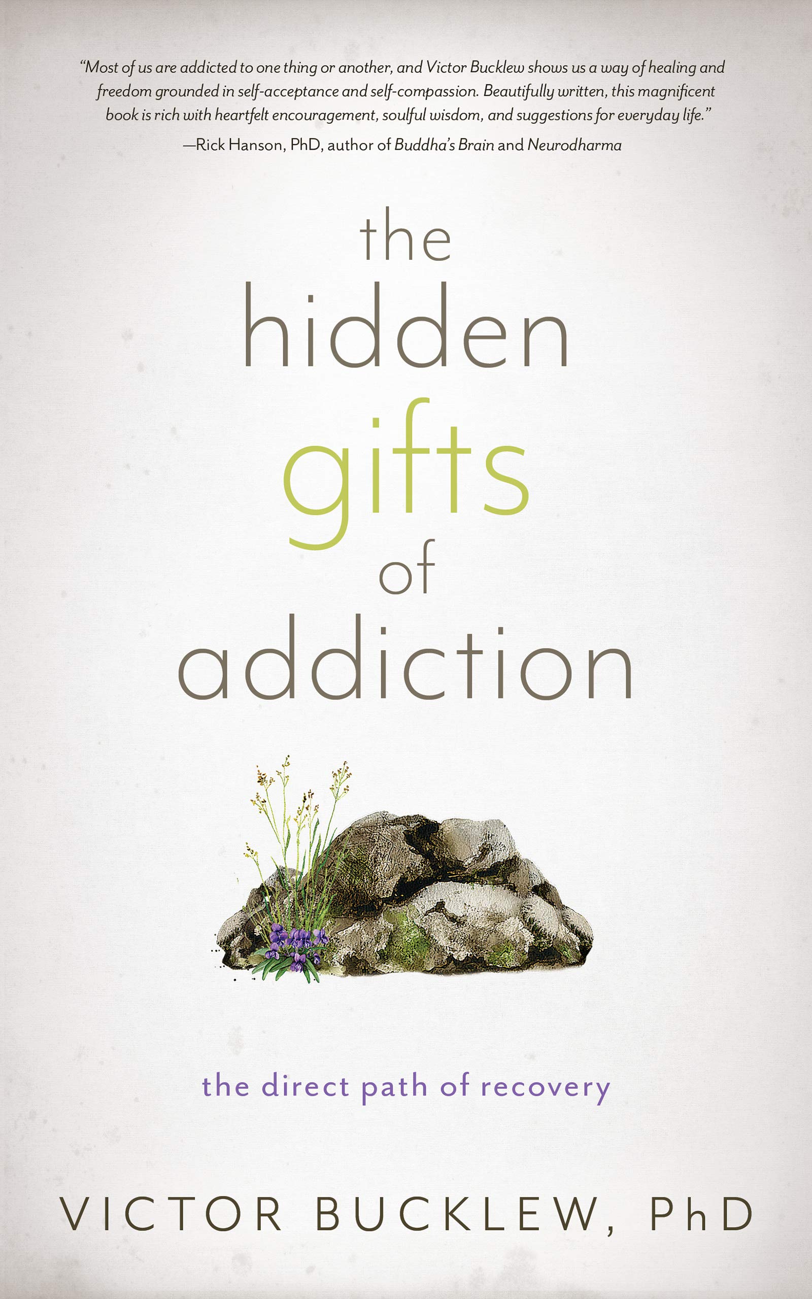 The Hidden Gifts of Addiction: The Direct Path of Recovery by Victor ...