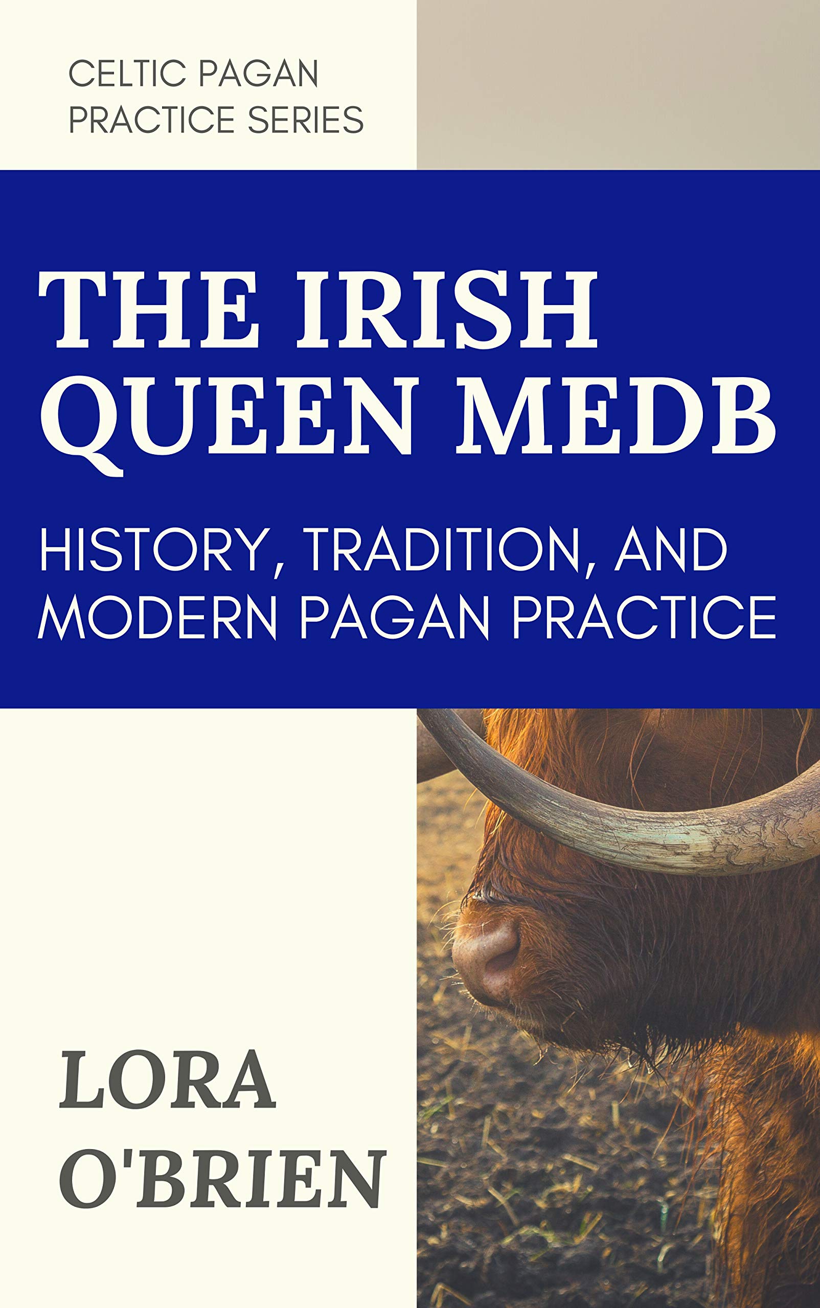 The Irish Queen Medb: History, Tradition, and Modern Pagan Practice by ...