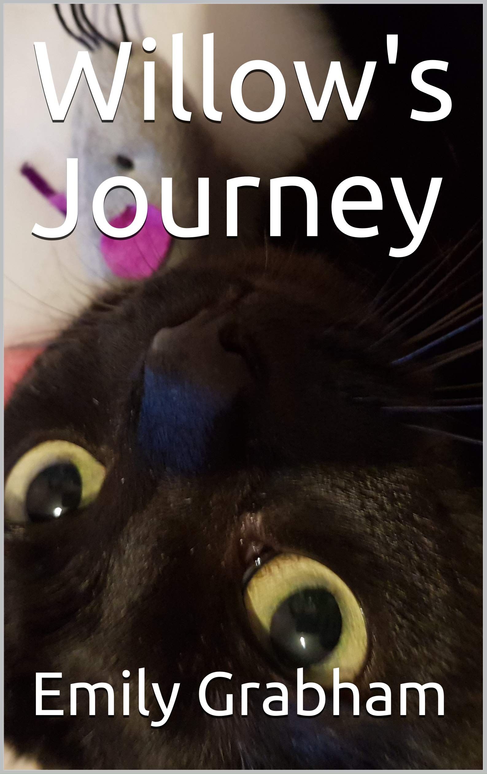 Willow's Journey (Cat stories Box-Set) by Emily Grabham | Goodreads
