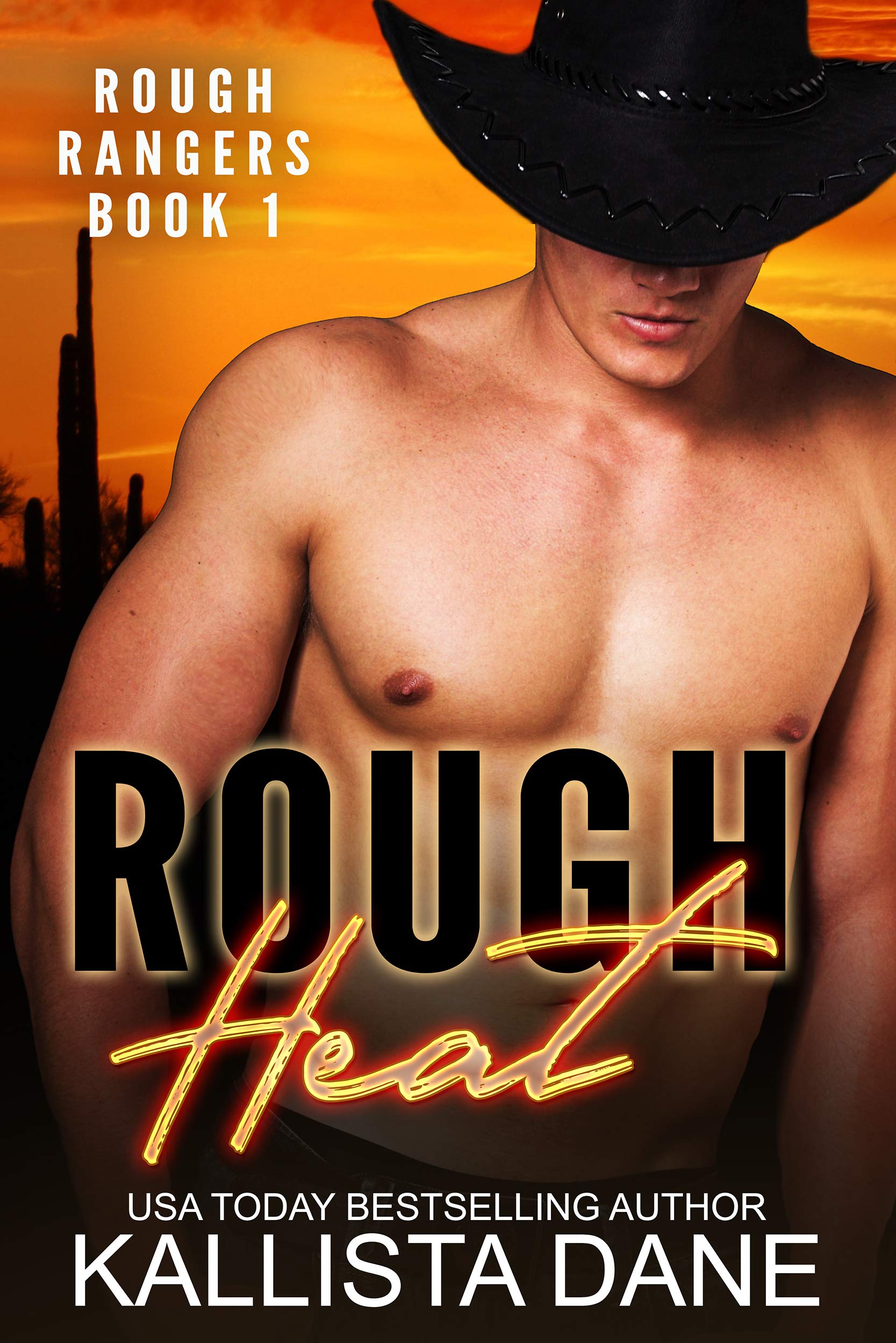 Rough Heat (Rough Rangers #1) by Kallista Dane | Goodreads