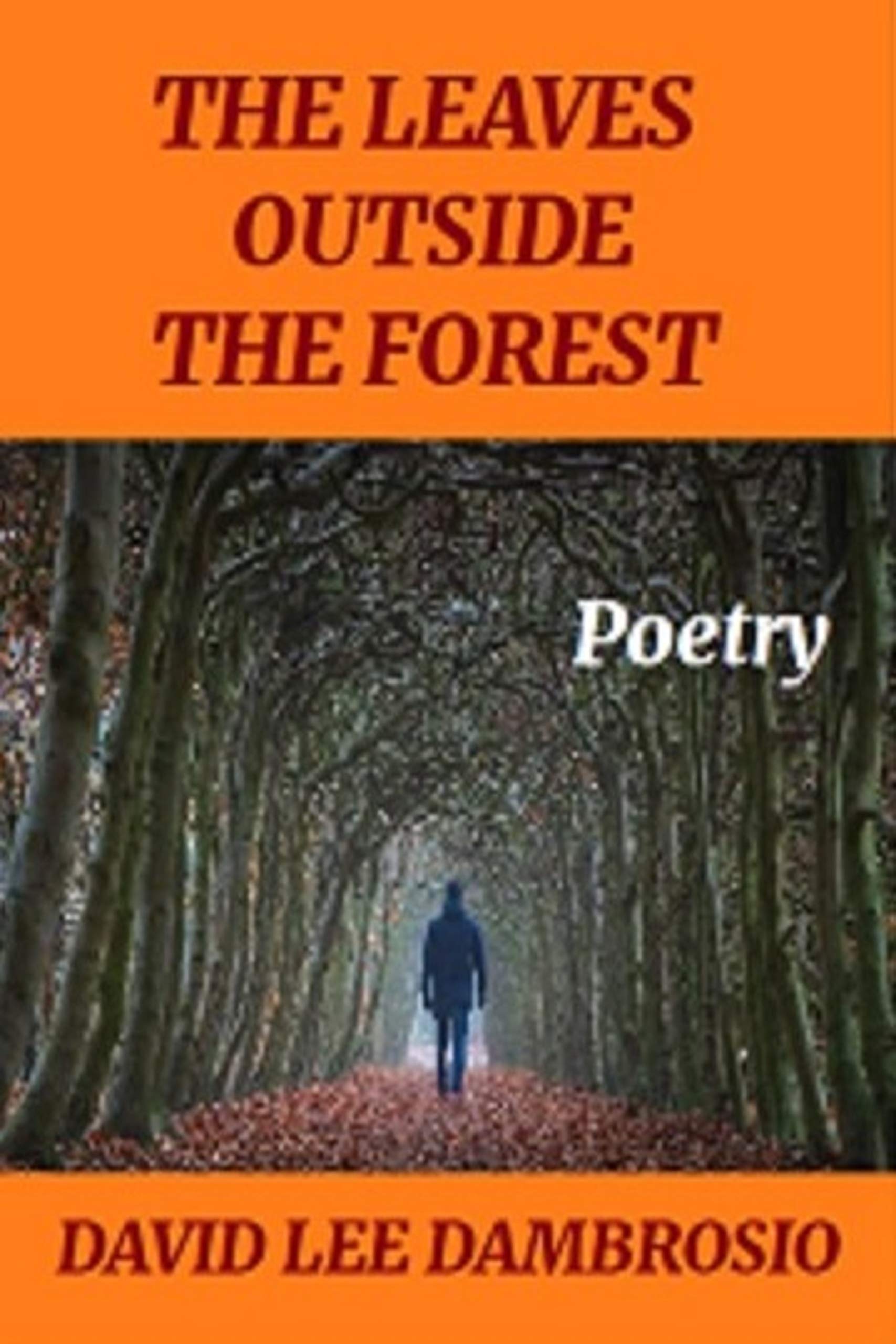 The Leaves Outside The Forest by David Lee Dambrosio | Goodreads