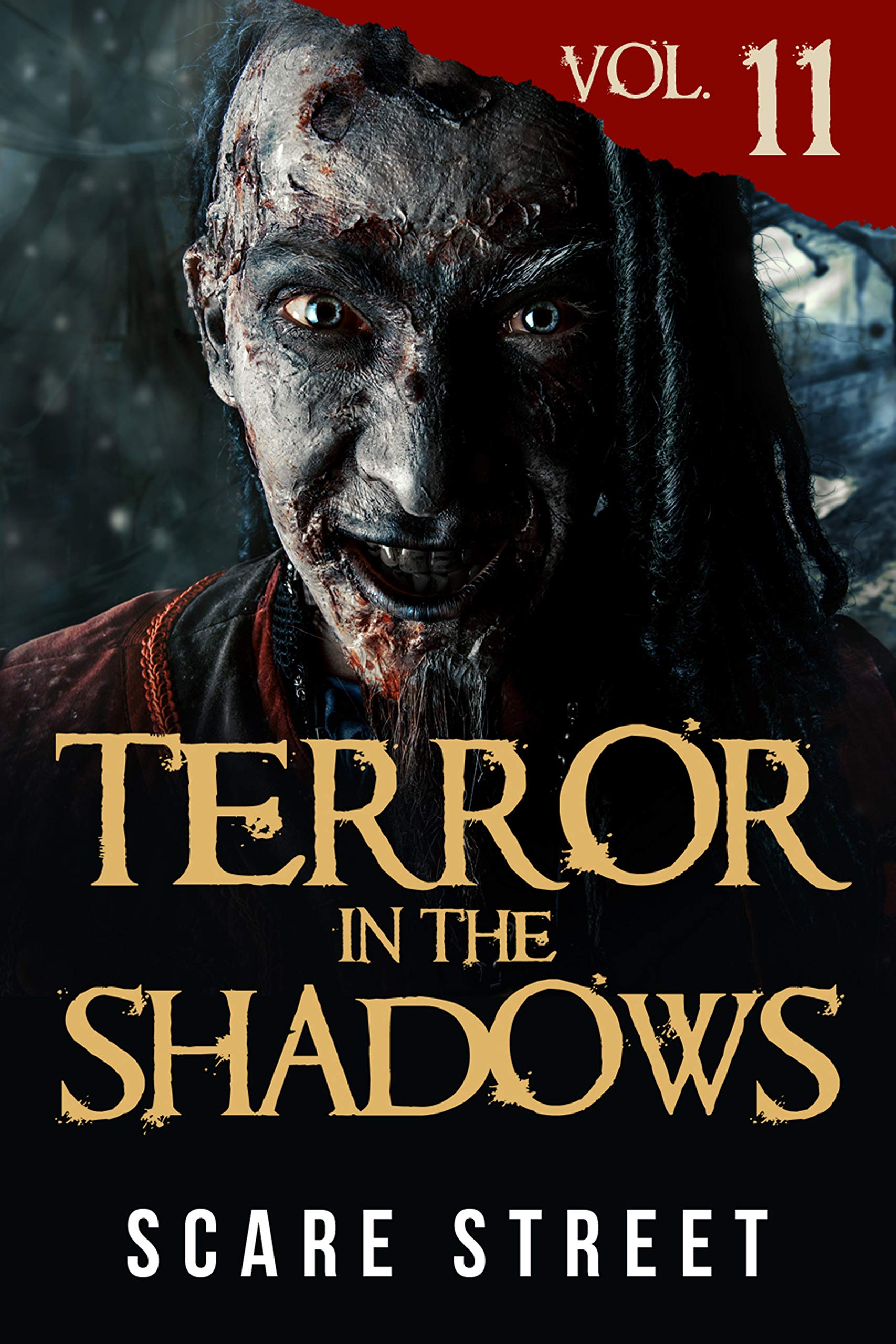 Terror in the Shadows Vol. 11 by Kathryn St. John-Shin | Goodreads