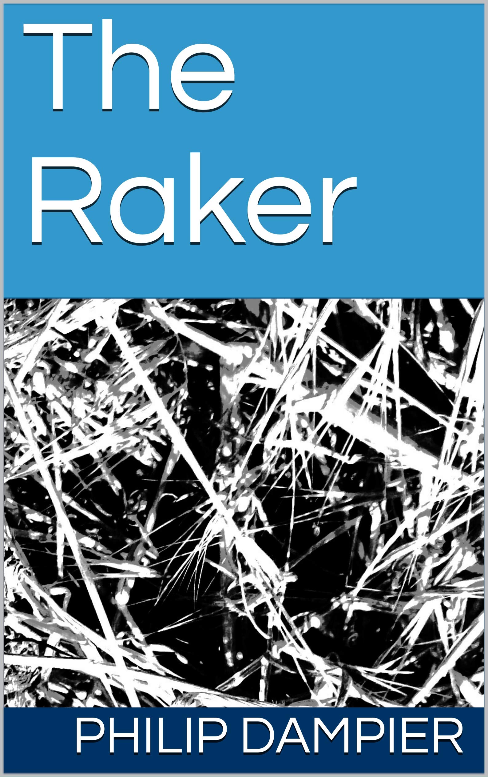 The Raker (Robert H. and Tisza Book 8) by Philip Dampier | Goodreads
