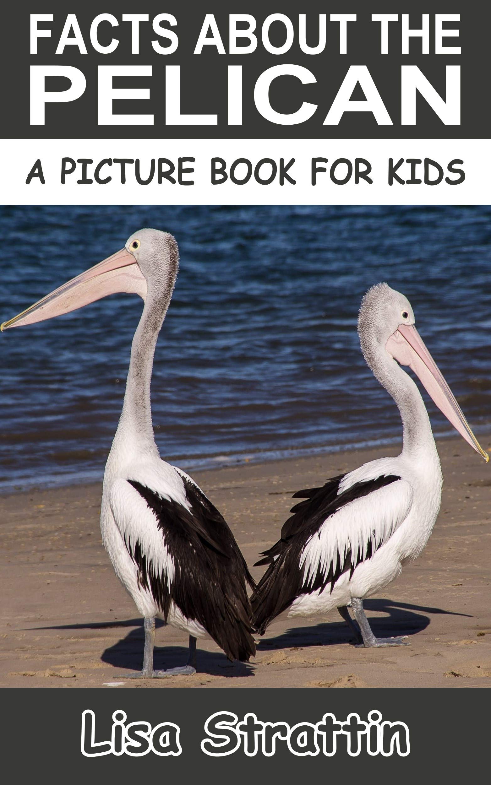Facts About the Pelican by Lisa Strattin | Goodreads