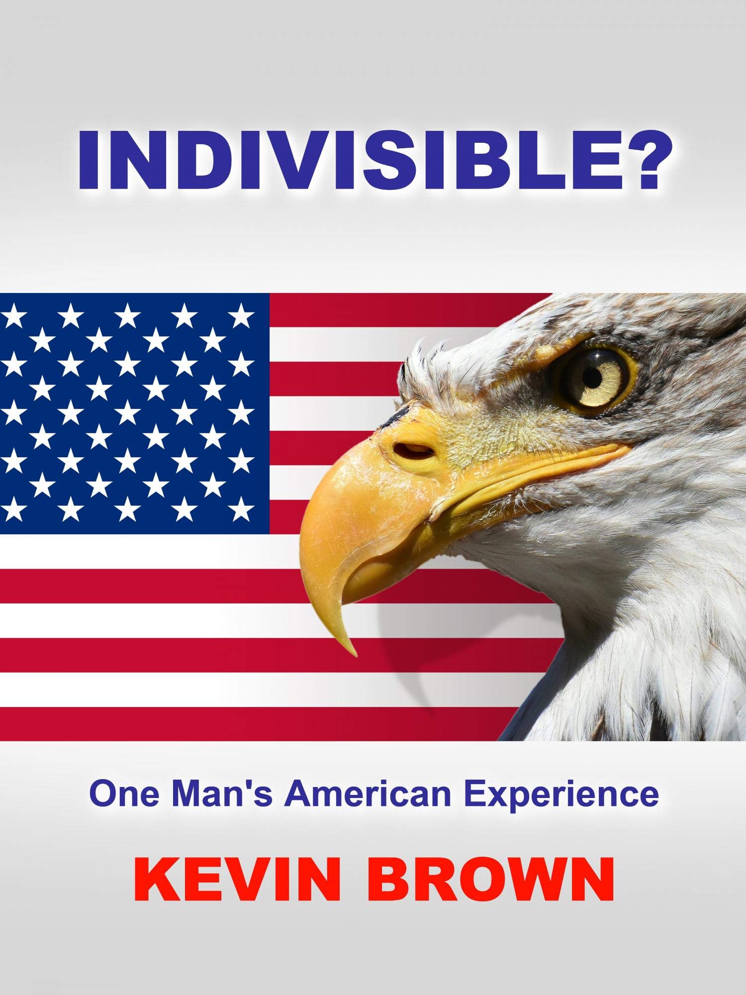 InDivisible: One Man's American Experience by Kevin Brown | Goodreads