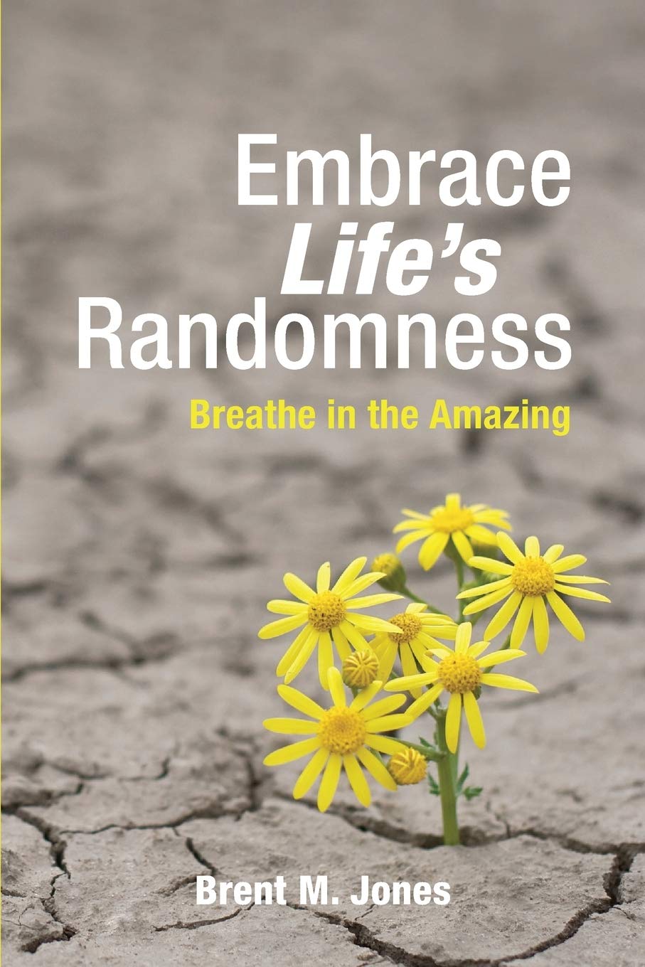 Embrace Life's Randomness: Breathe in the Amazing by Brent M. Jones ...