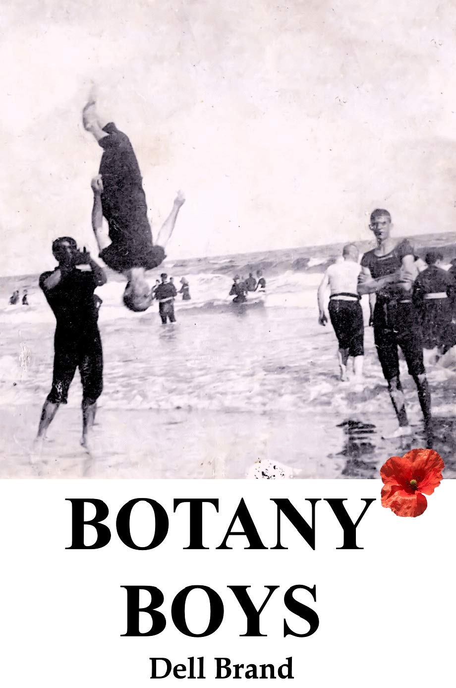 Botany Boys by Dell Brand | Goodreads