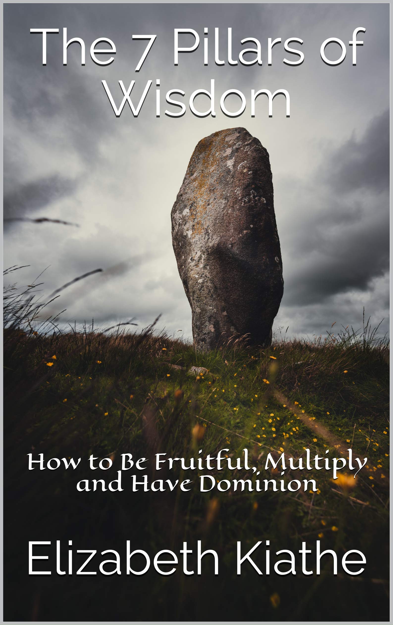 The 7 Pillars of Wisdom: How to Be Fruitful, Multiply and Have Dominion ...