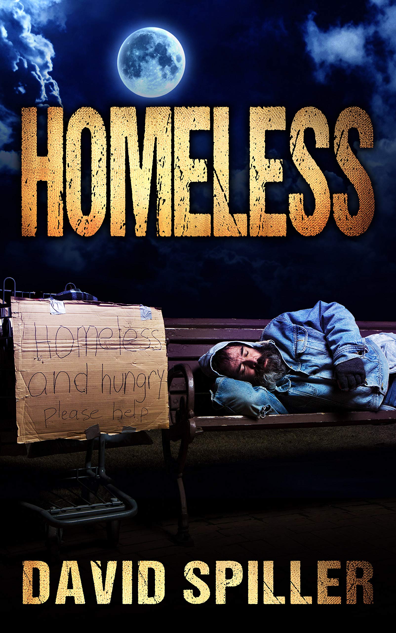 Homeless by David Spiller | Goodreads