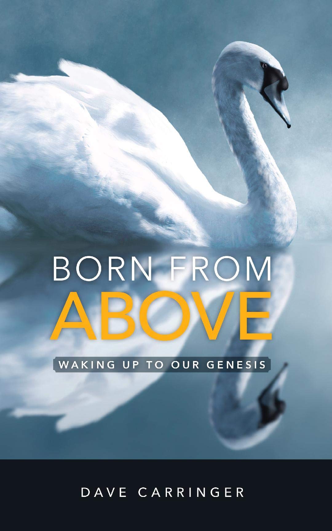 BORN FROM ABOVE: Waking Up to Our Genesis by Dave Carringer | Goodreads