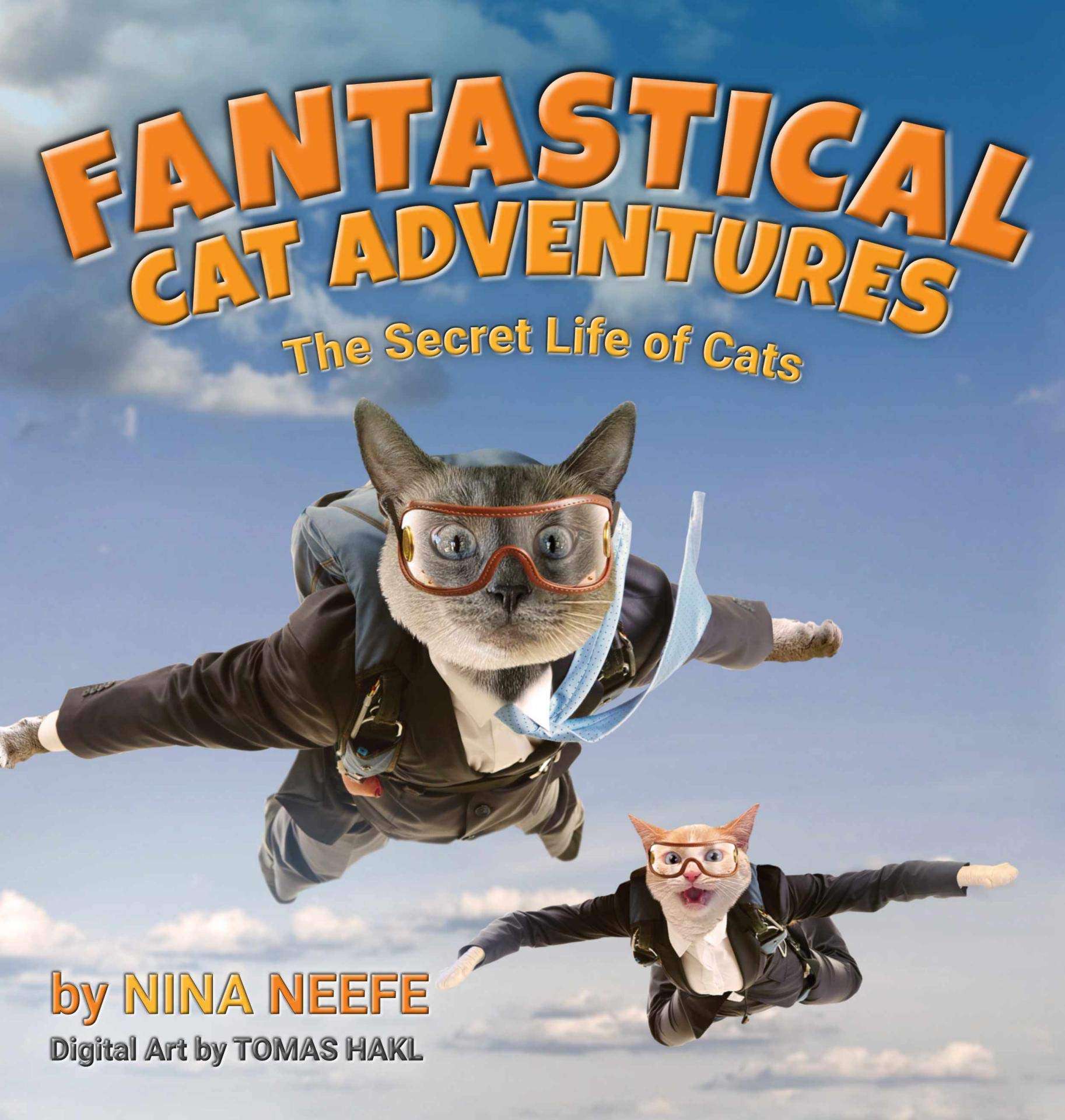 Fantastical Cat Adventures: The Secret Life of Cats by Nina Neefe ...
