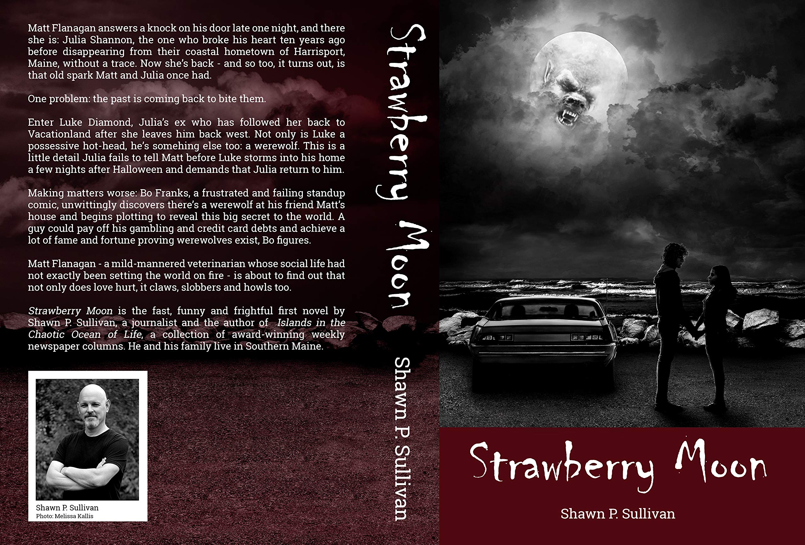 Strawberry Moon by Shawn Sullivan | Goodreads
