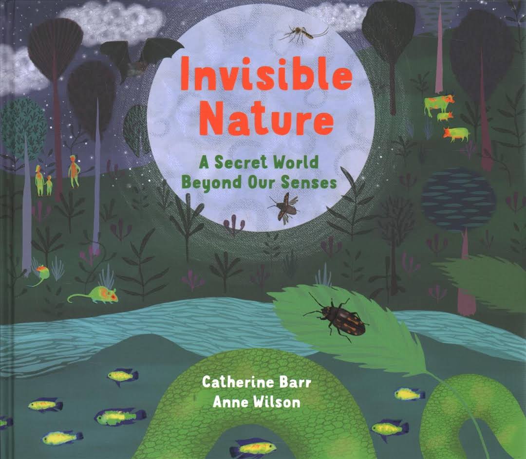 Invisible Nature: A Secret World Beyond our Senses by Catherine Barr ...