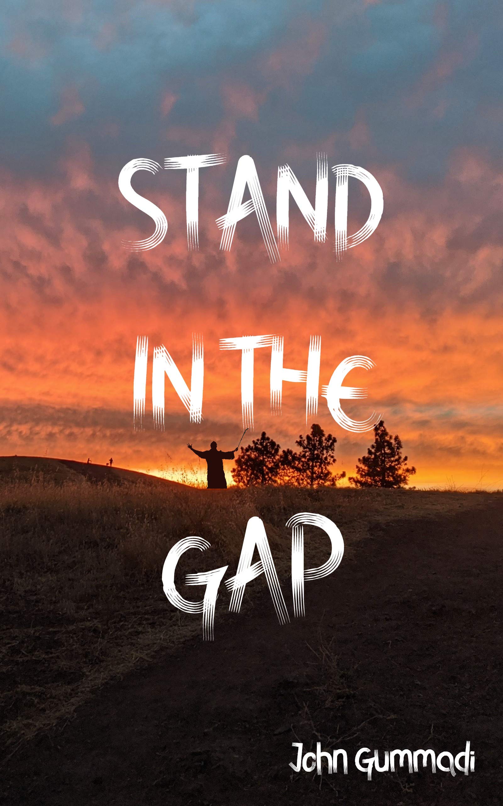 Stand In The Gap By John Gummadi Goodreads stand-in-the-gap-by-john-gummadi-goodreads
