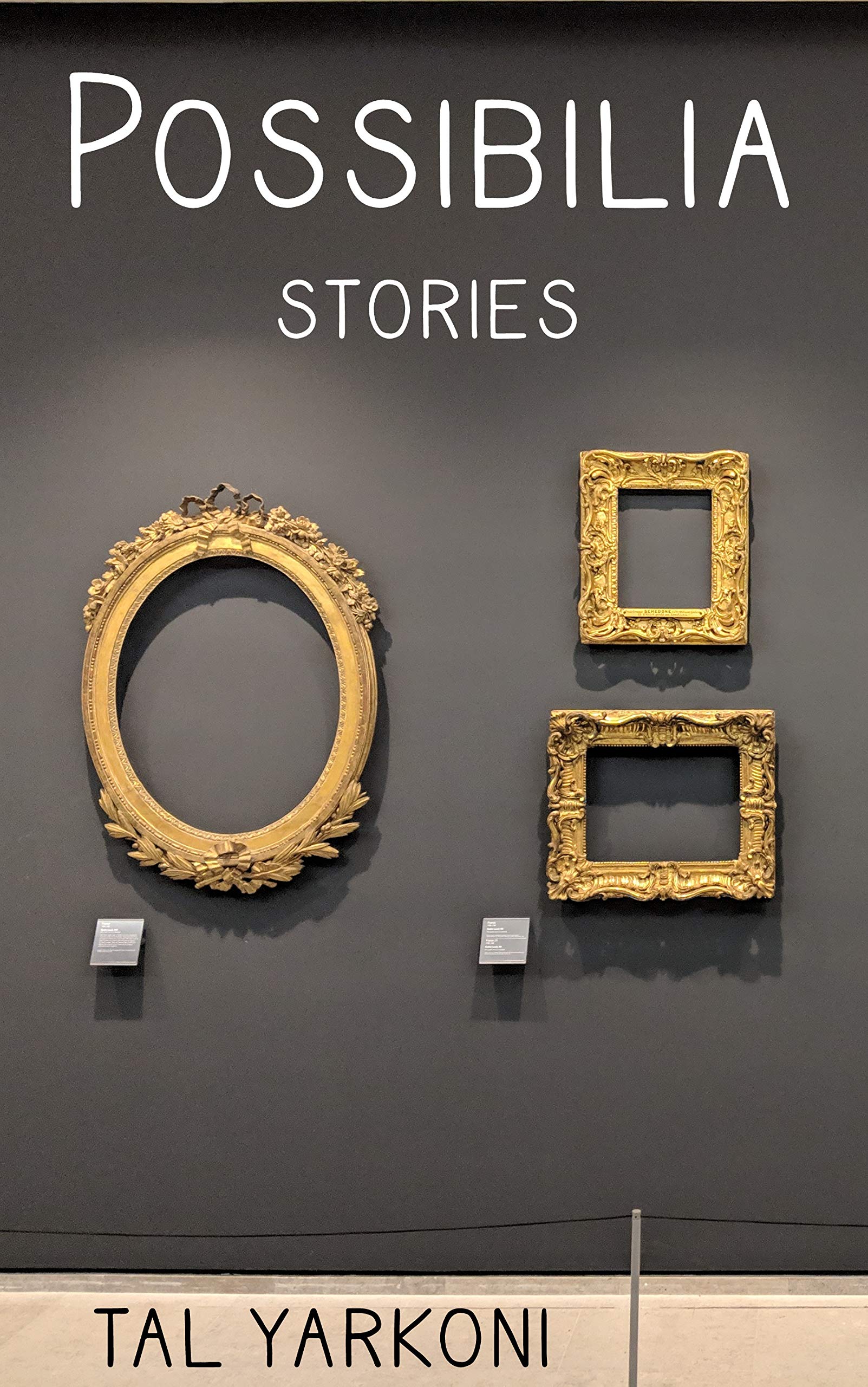 Possibilia: Stories by Tal Yarkoni | Goodreads