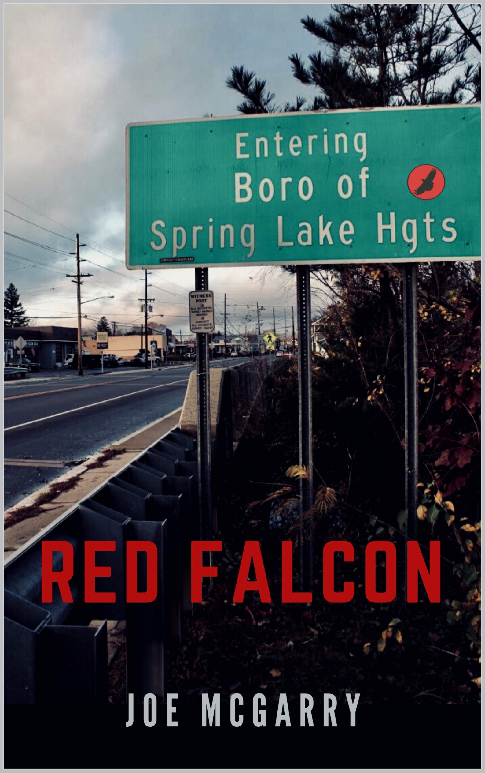 Red Falcon (Fowl Calamity Book 1) by Joe McGarry | Goodreads