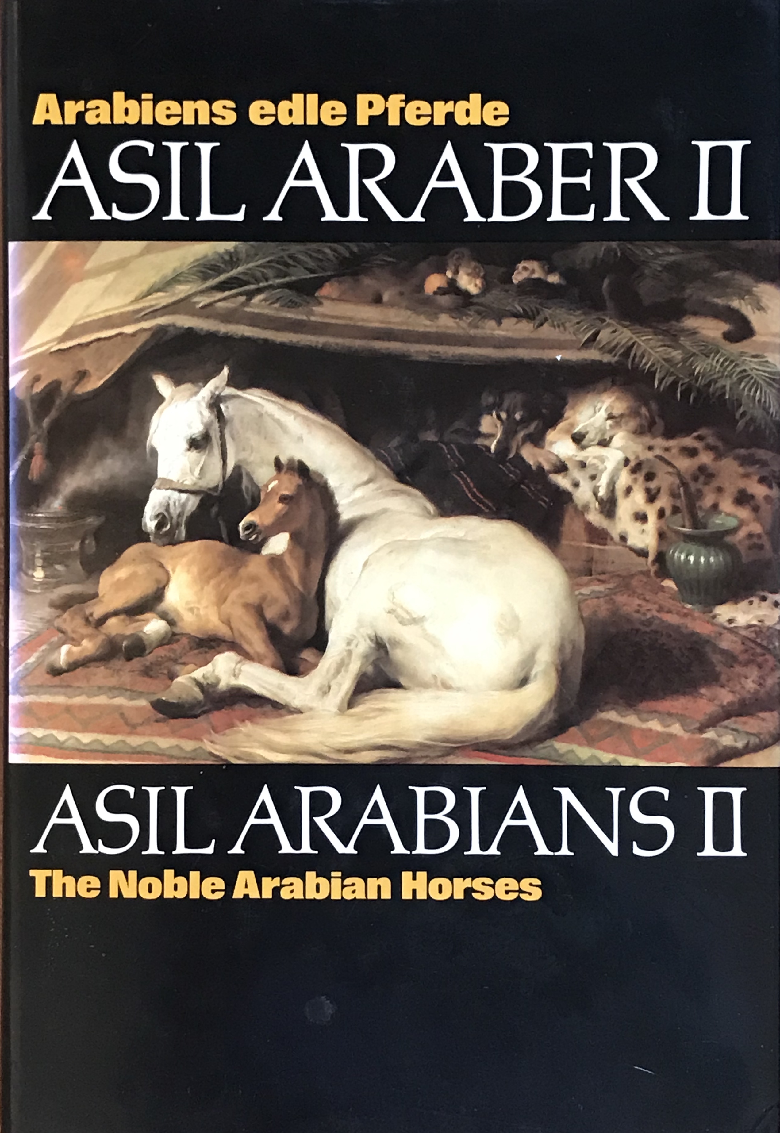Asil Araber/Asil Arabians II: Arabiens Edle Pferde/The Noble Arabian ...