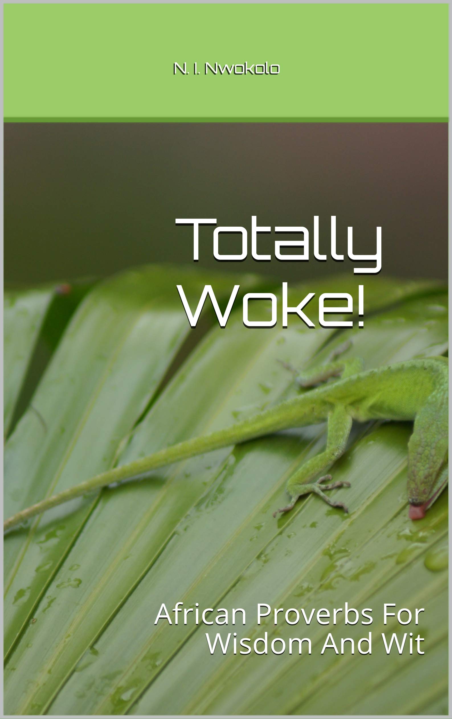 Woke!: African Proverbs For Wisdom And Wit by N.I. Nwokolo | Goodreads
