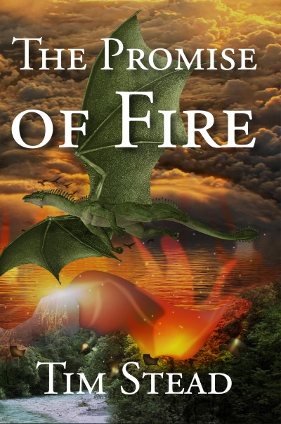 The Promise of Fire (The Beggar's Ride, #3) by Tim Stead | Goodreads