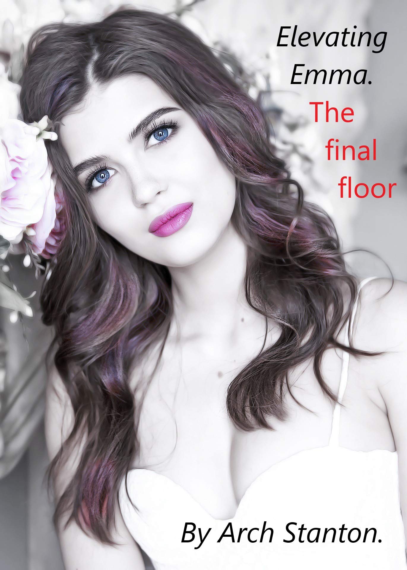 Elevating Emma.: The final floors. by Arch E Stanton | Goodreads