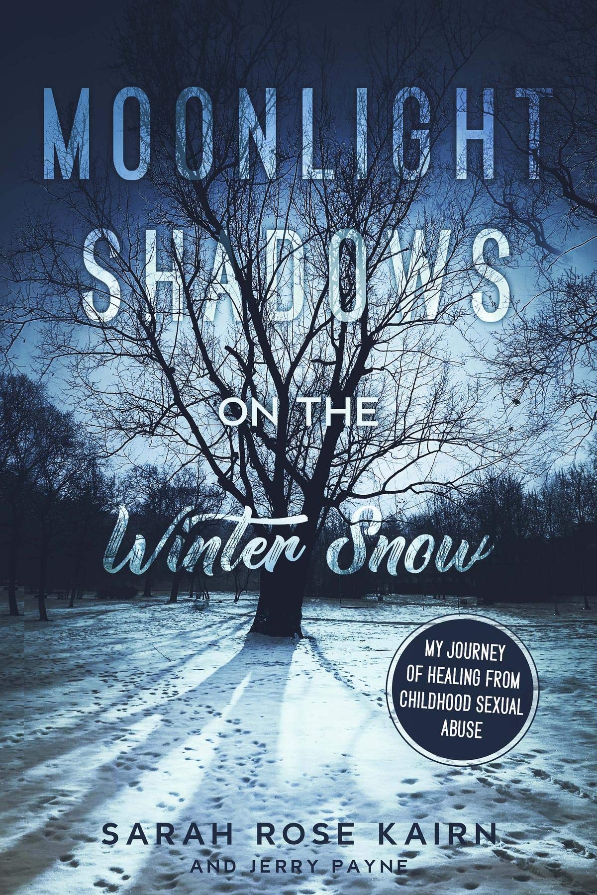 Moonlight Shadows on the Winter Snow: My Journey of Healing from ...