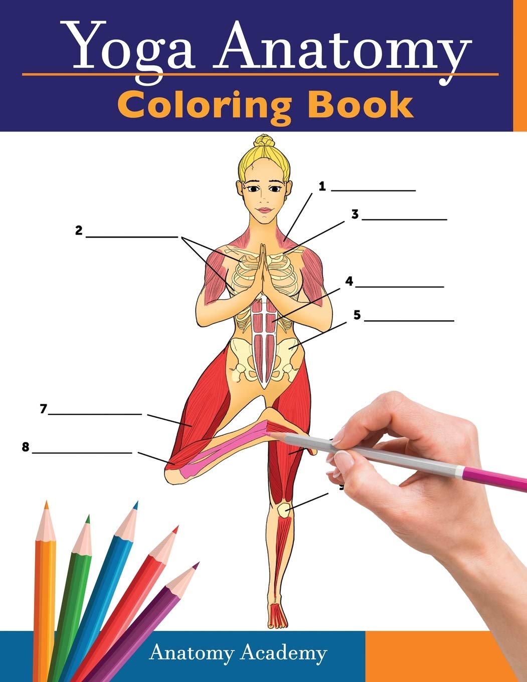 Yoga Anatomy Coloring Book: 3-in-1 Compilation | 150+ Incredibly ...