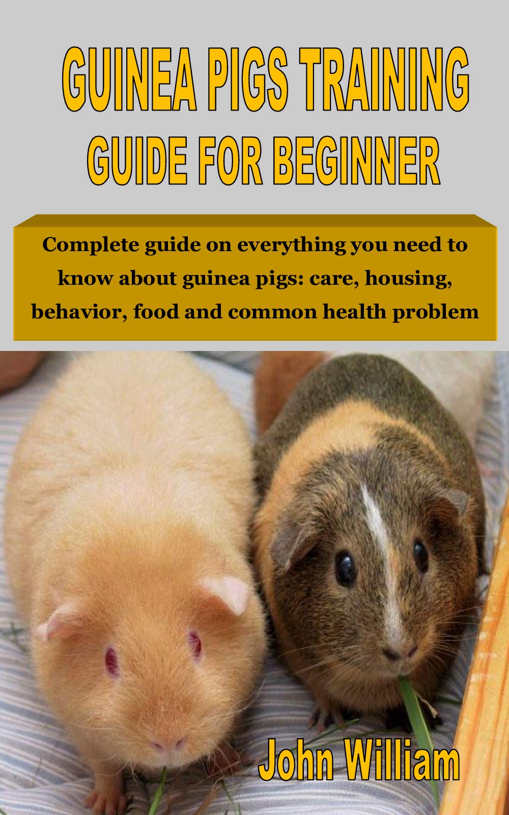 GUINEA PIGS TRAINING GUIDE FOR BEGINNER: Complete guide on everything ...