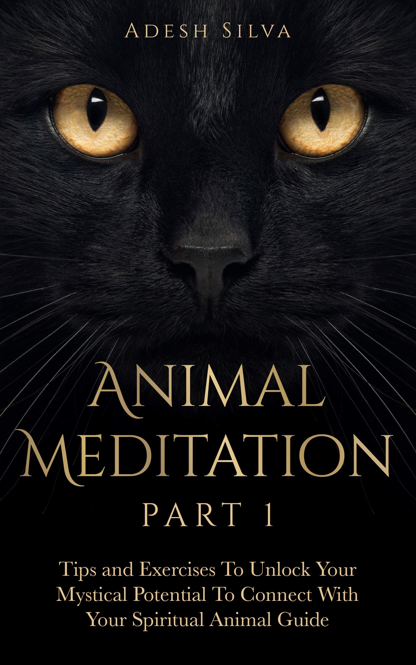 Animal Meditation Part One: Tips and Exercises to Unlock Your Mystical ...
