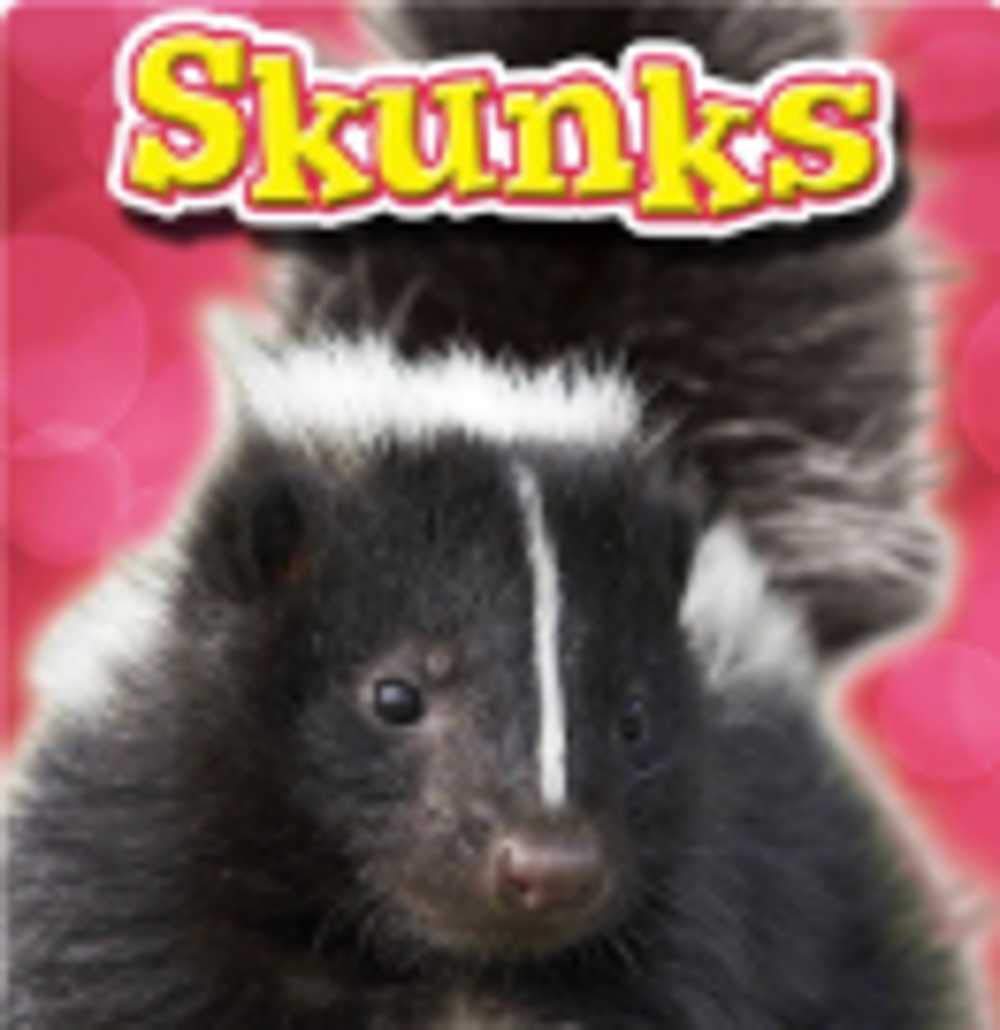Skunks Backyard Wildlife: children's books ages 1-3 by Robin Myers ...